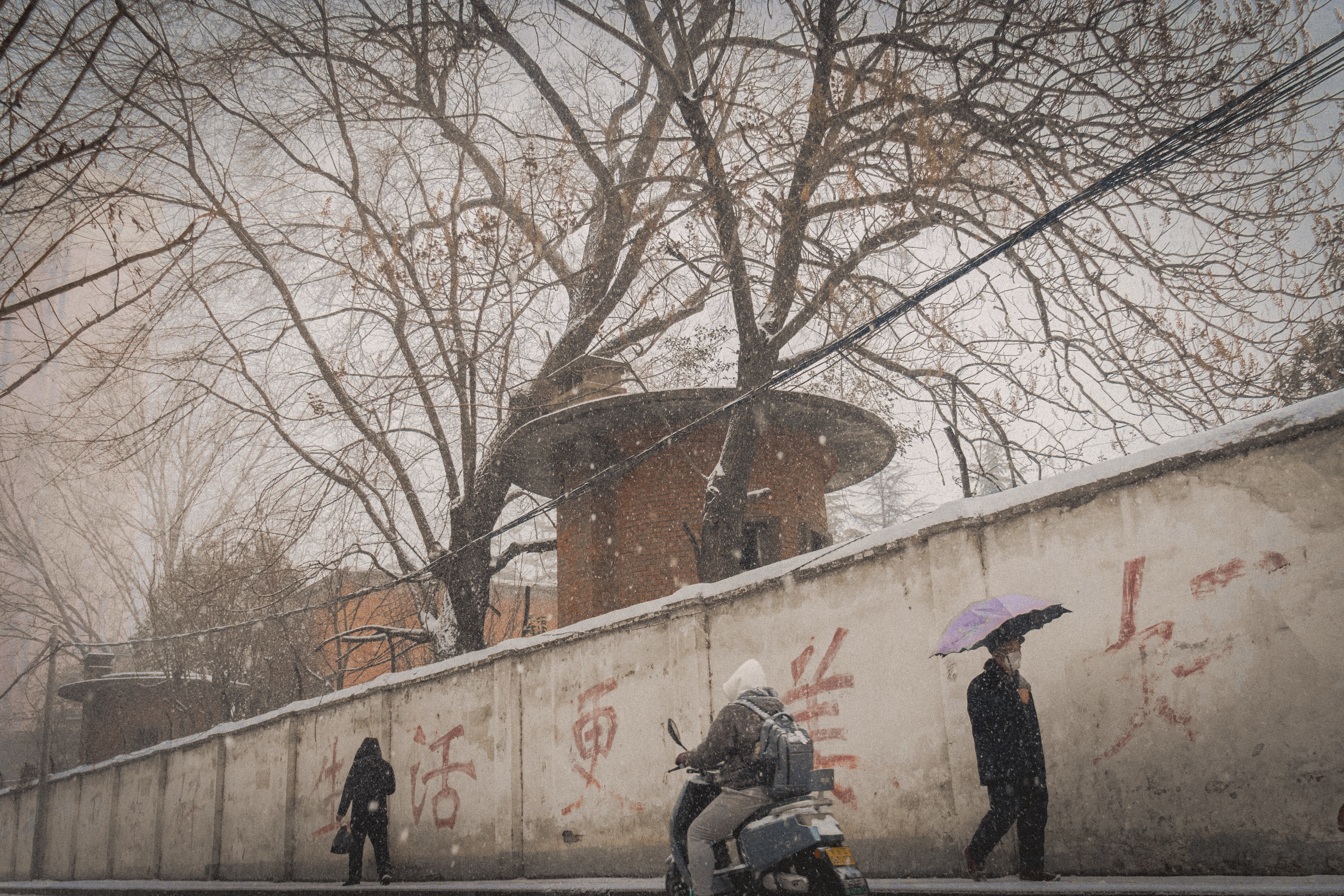 Snowing Loop Photos, Download The BEST Free Snowing Loop Stock Photos ...
