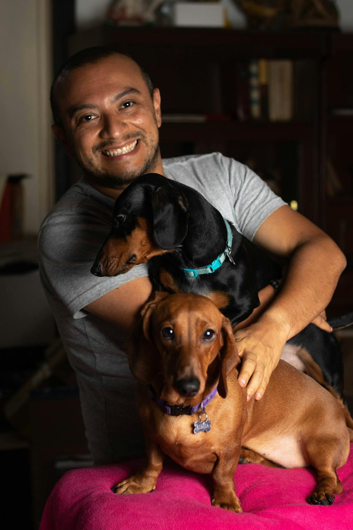 Small Dogs Photos, Download The BEST Free Small Dogs Stock Photos & HD ...