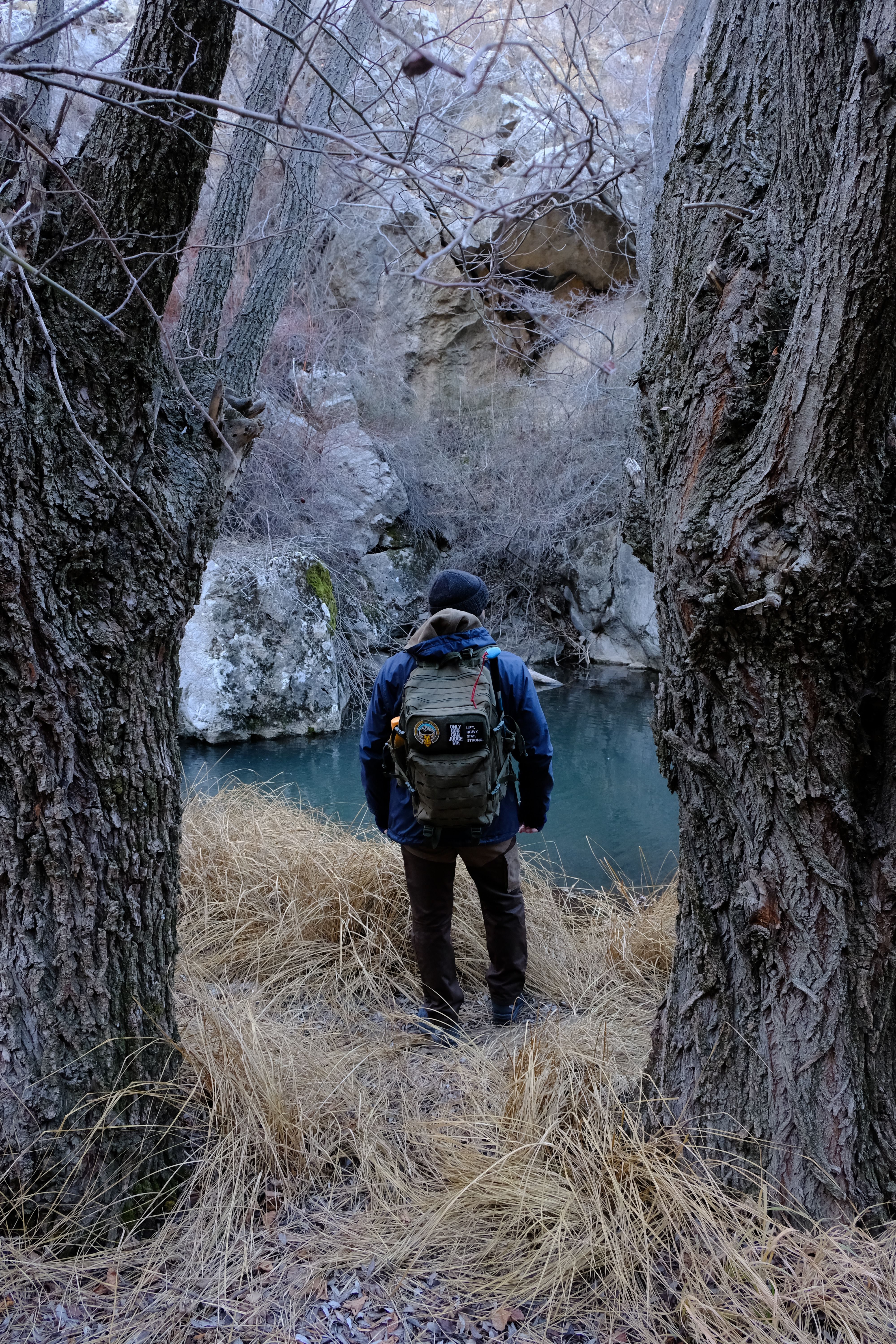 Person Standing between Trees near Water · Free Stock Photo