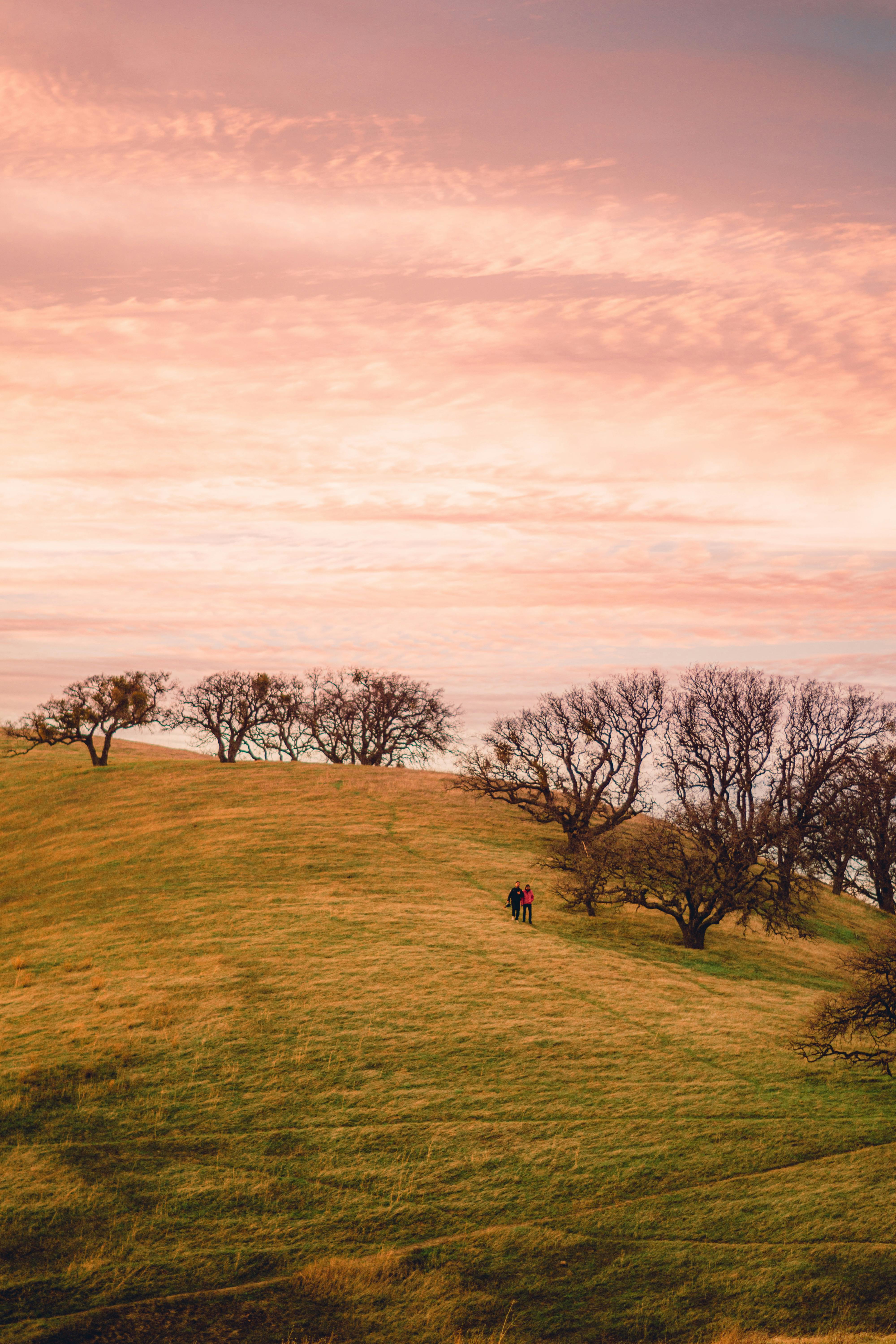 Hikers Walking in Hilly Meadow · Free Stock Photo