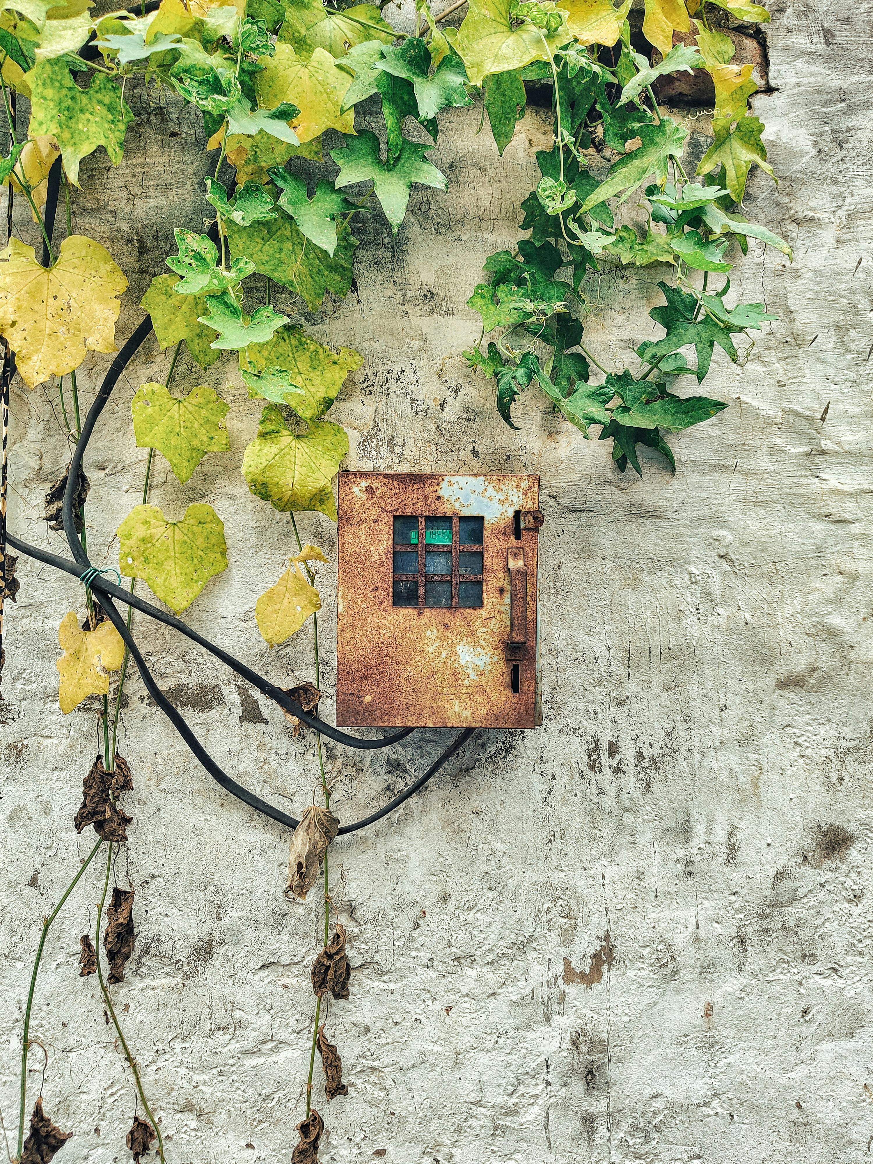 Rusty Box on the Wall · Free Stock Photo