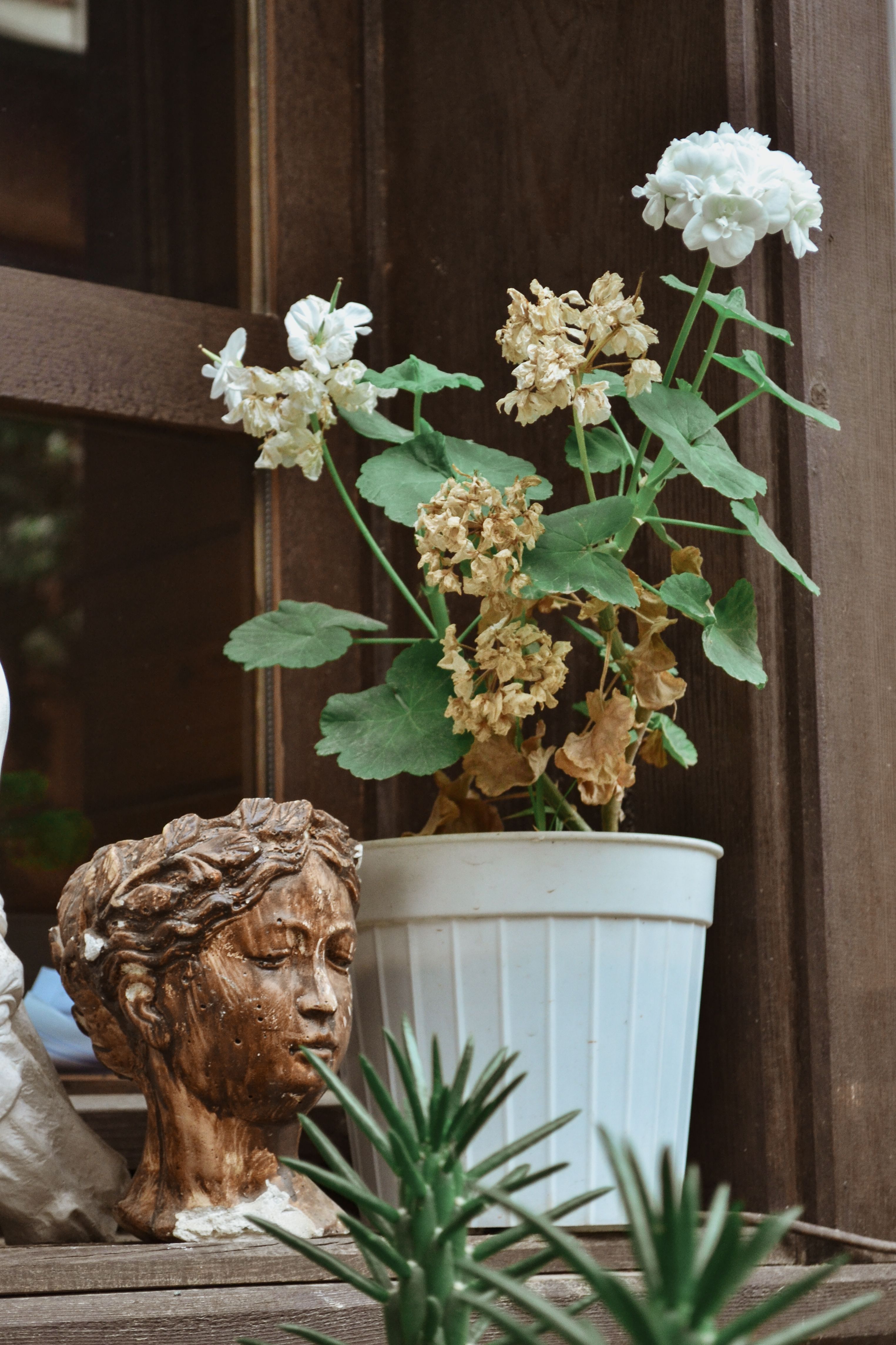 Bust and Flowerpot with Flowers on Windowsill · Free Stock Photo