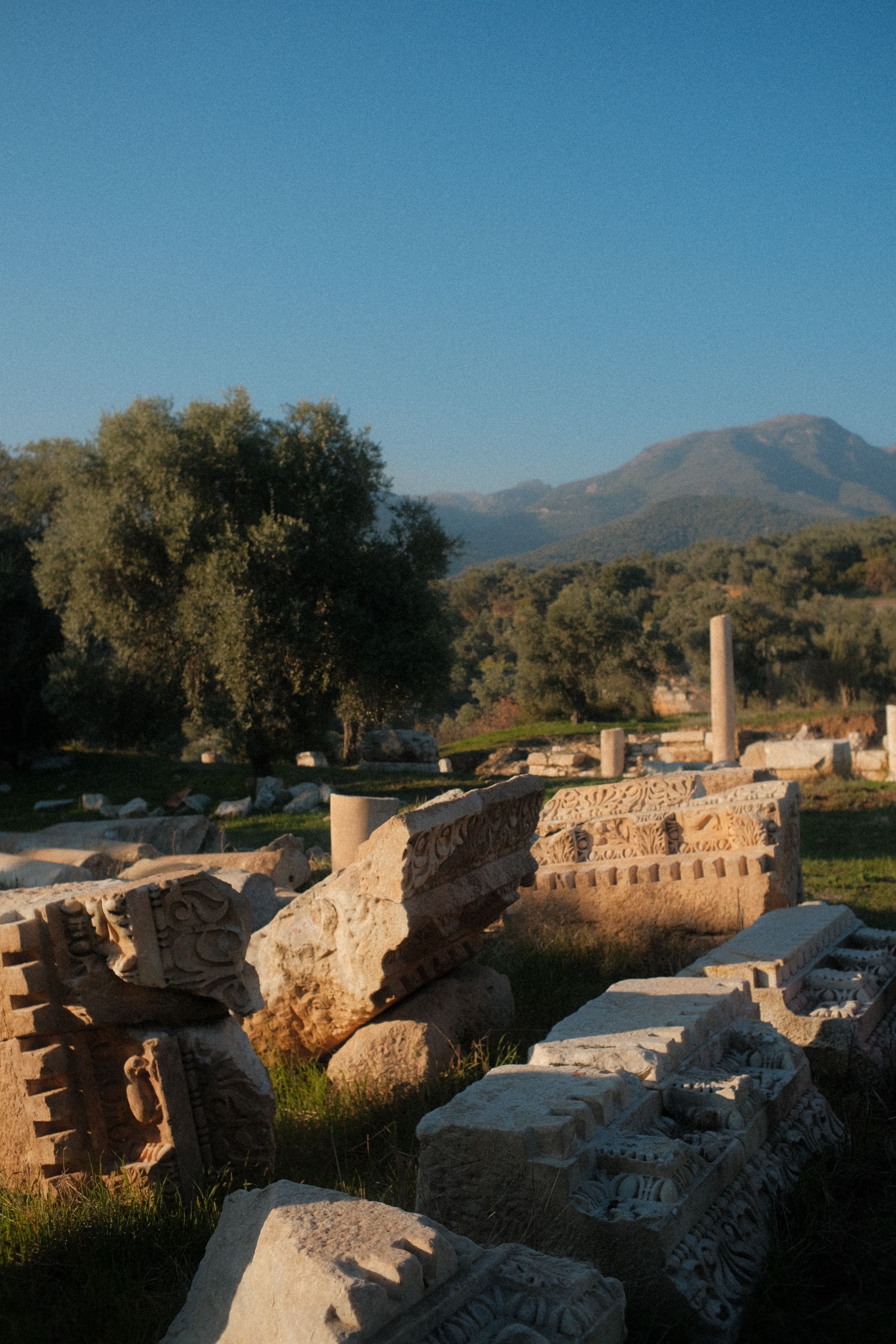 Ancient Ruins at Ephesus at Dusk · Free Stock Photo
