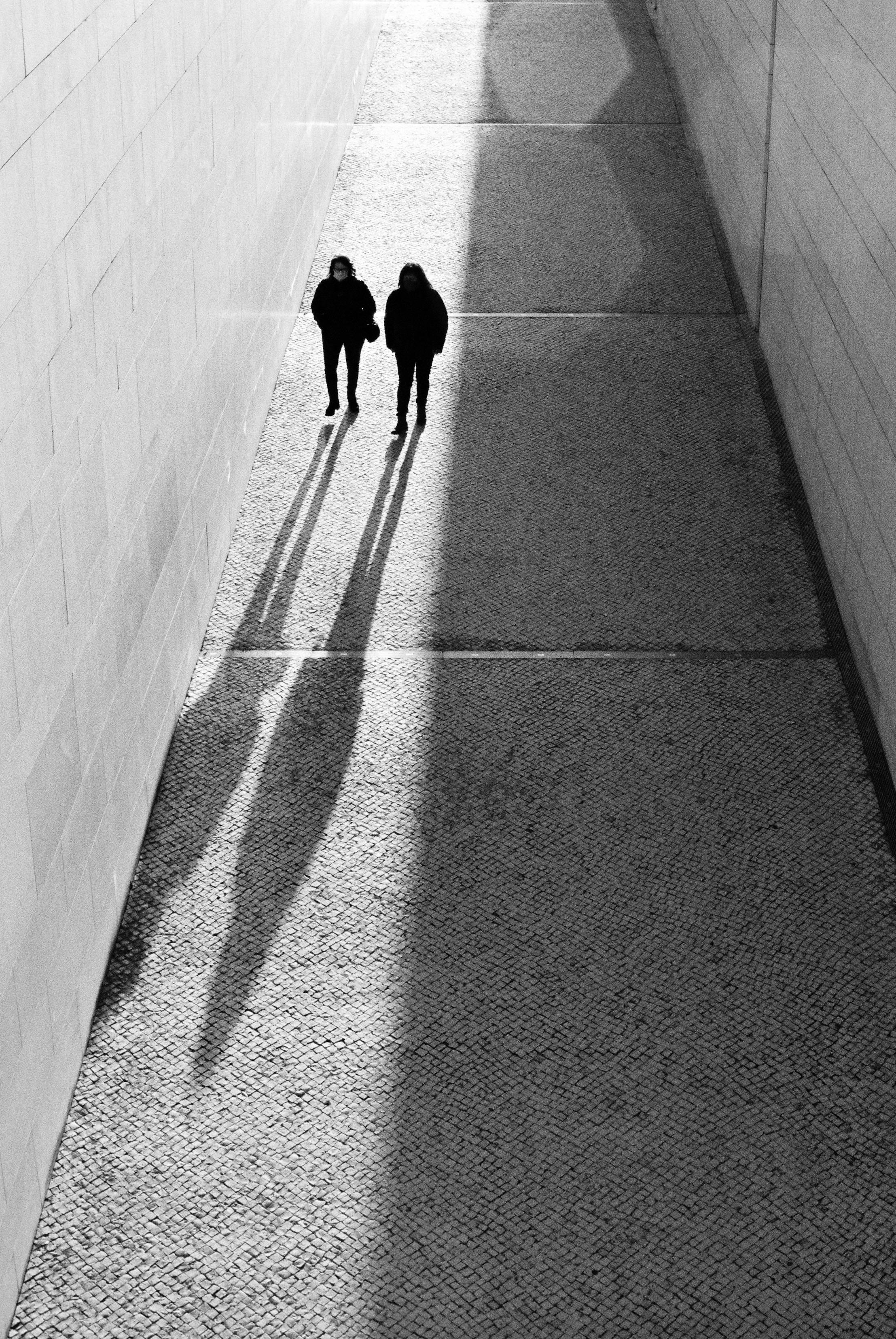 Shadows Desktop Photos, Download The BEST Free Shadows Desktop Stock ...