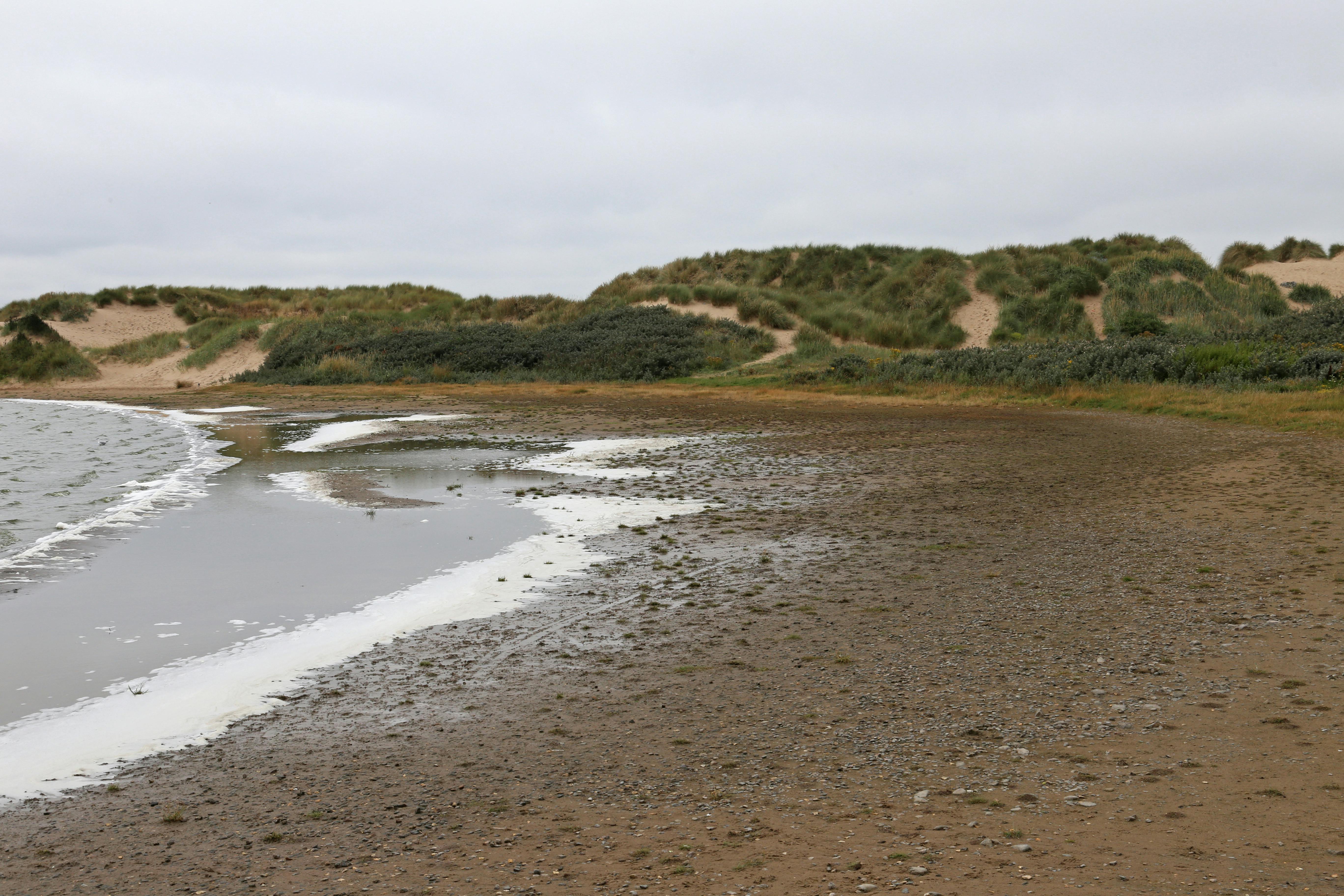 Waves Hitting Shore of Lake · Free Stock Photo