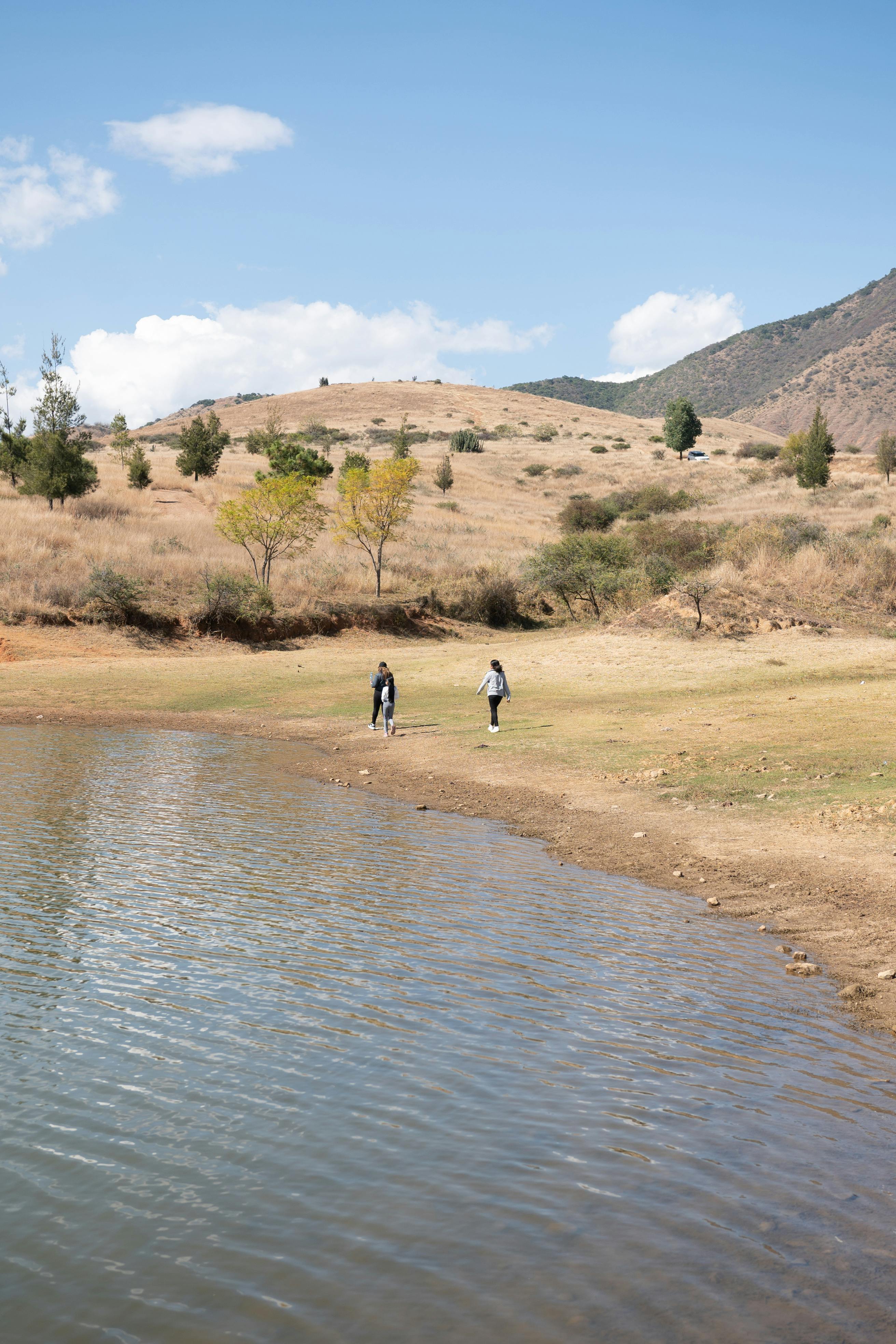 Bg Scenery Photos, Download The BEST Free Bg Scenery Stock Photos & HD ...