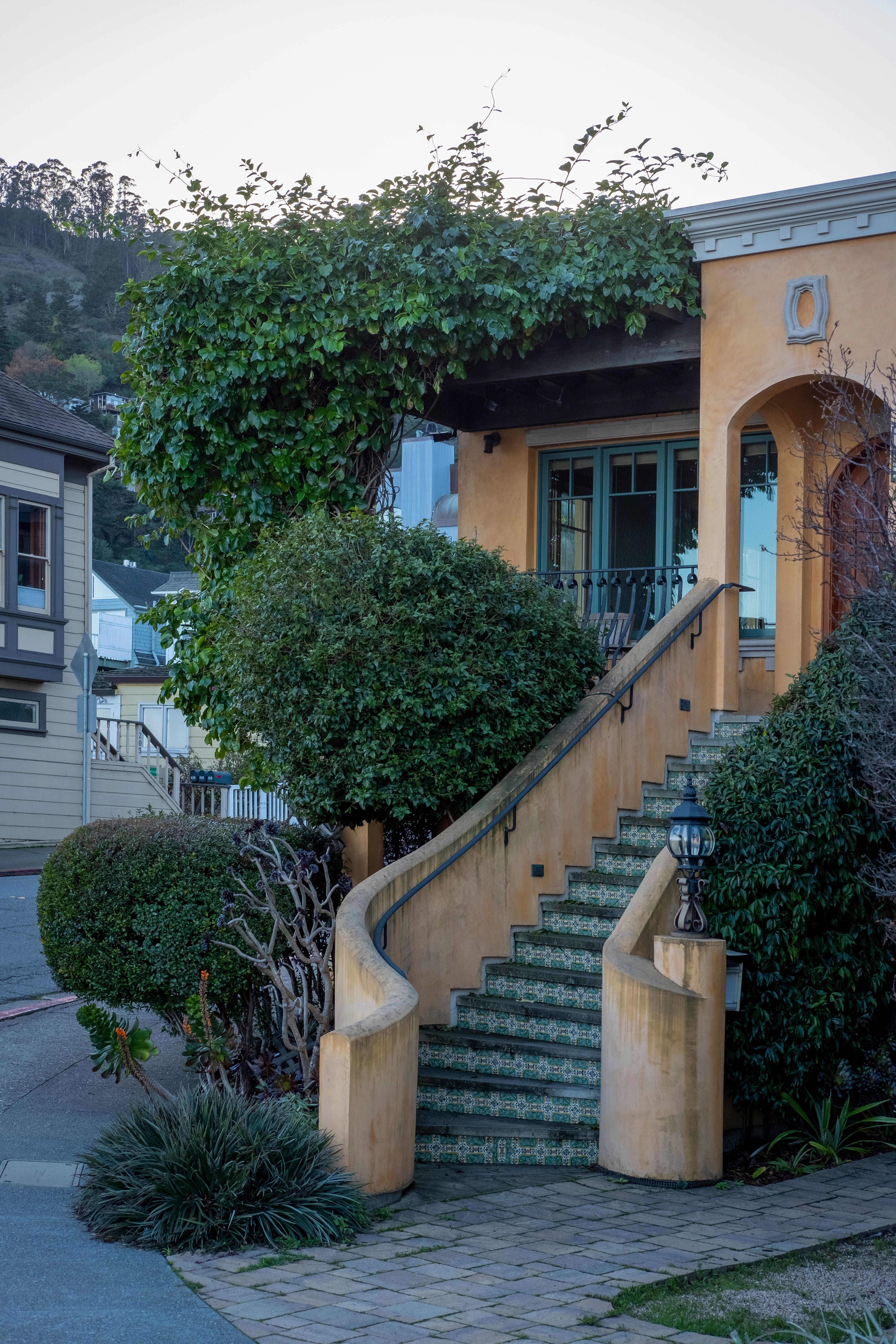 Trees Growing by Staircase Leading to House Entrance · Free Stock Photo