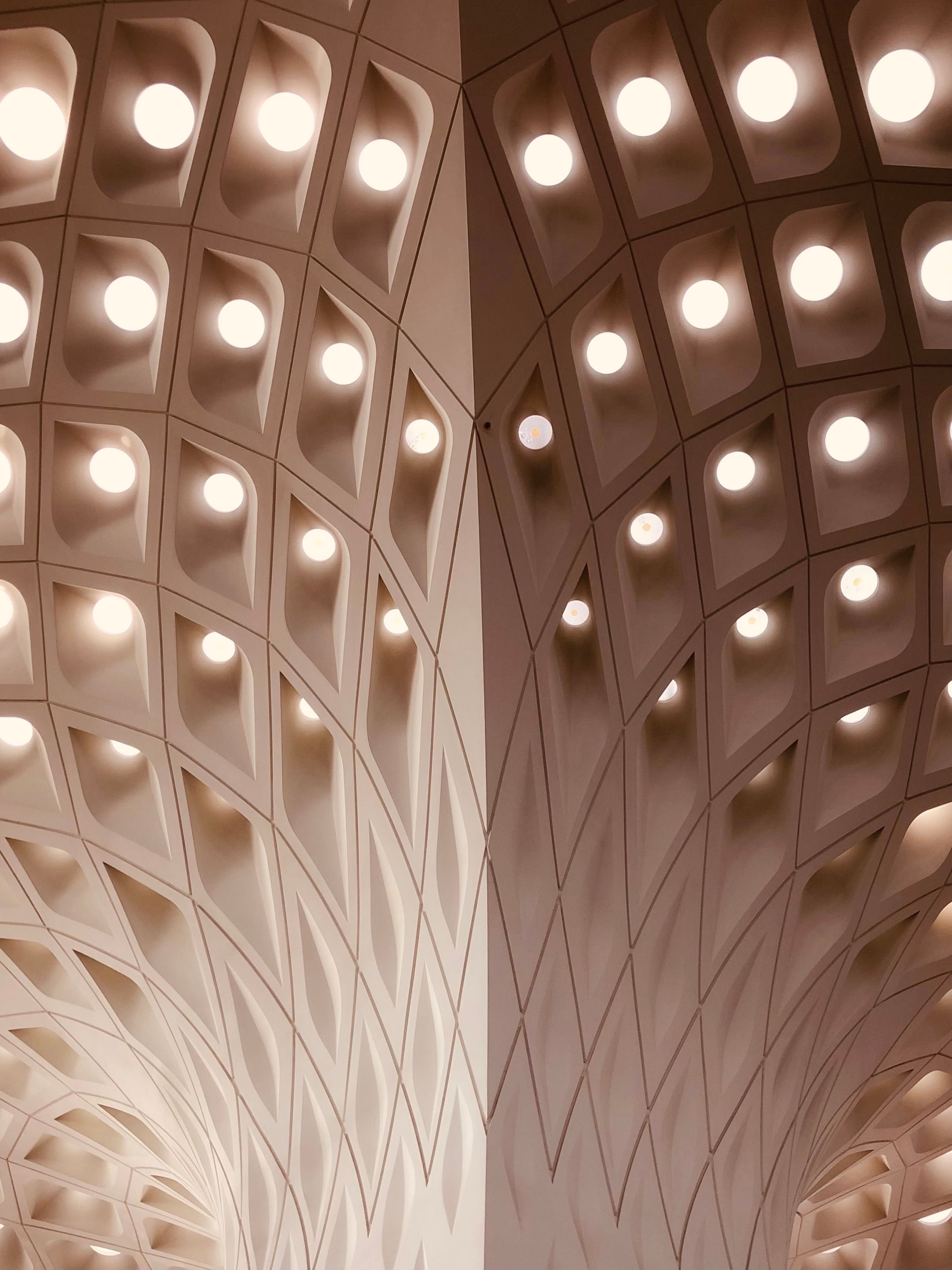 Curve Arch Photos, Download The BEST Free Curve Arch Stock Photos & HD ...