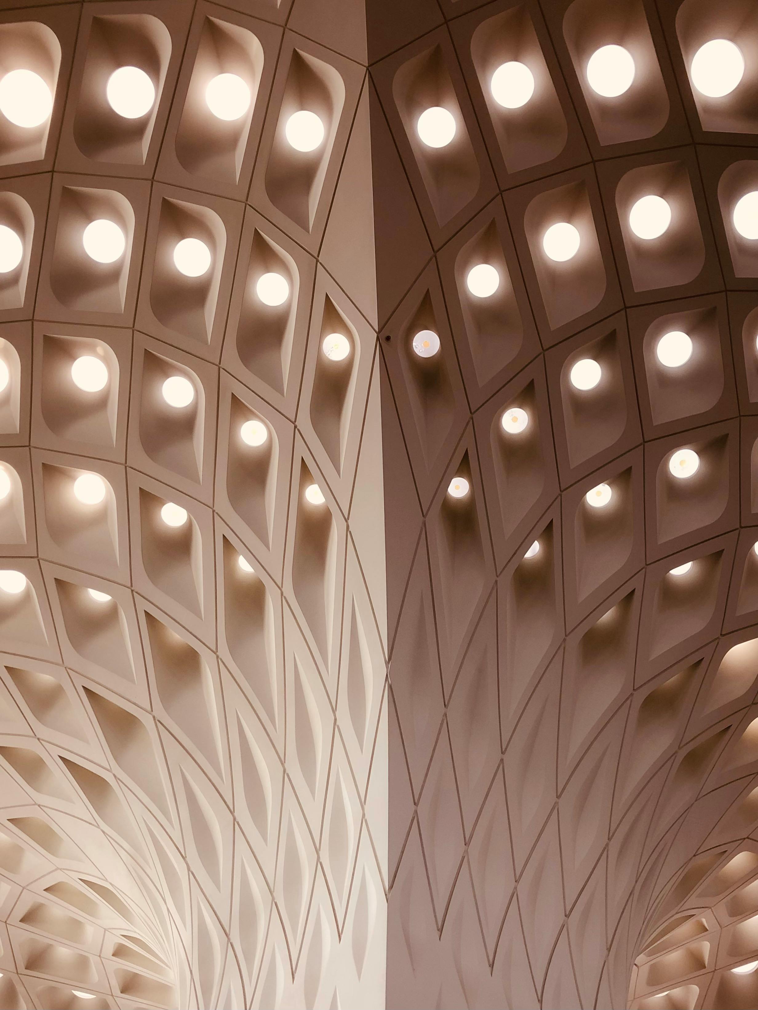 Lights on Curved Ceiling · Free Stock Photo