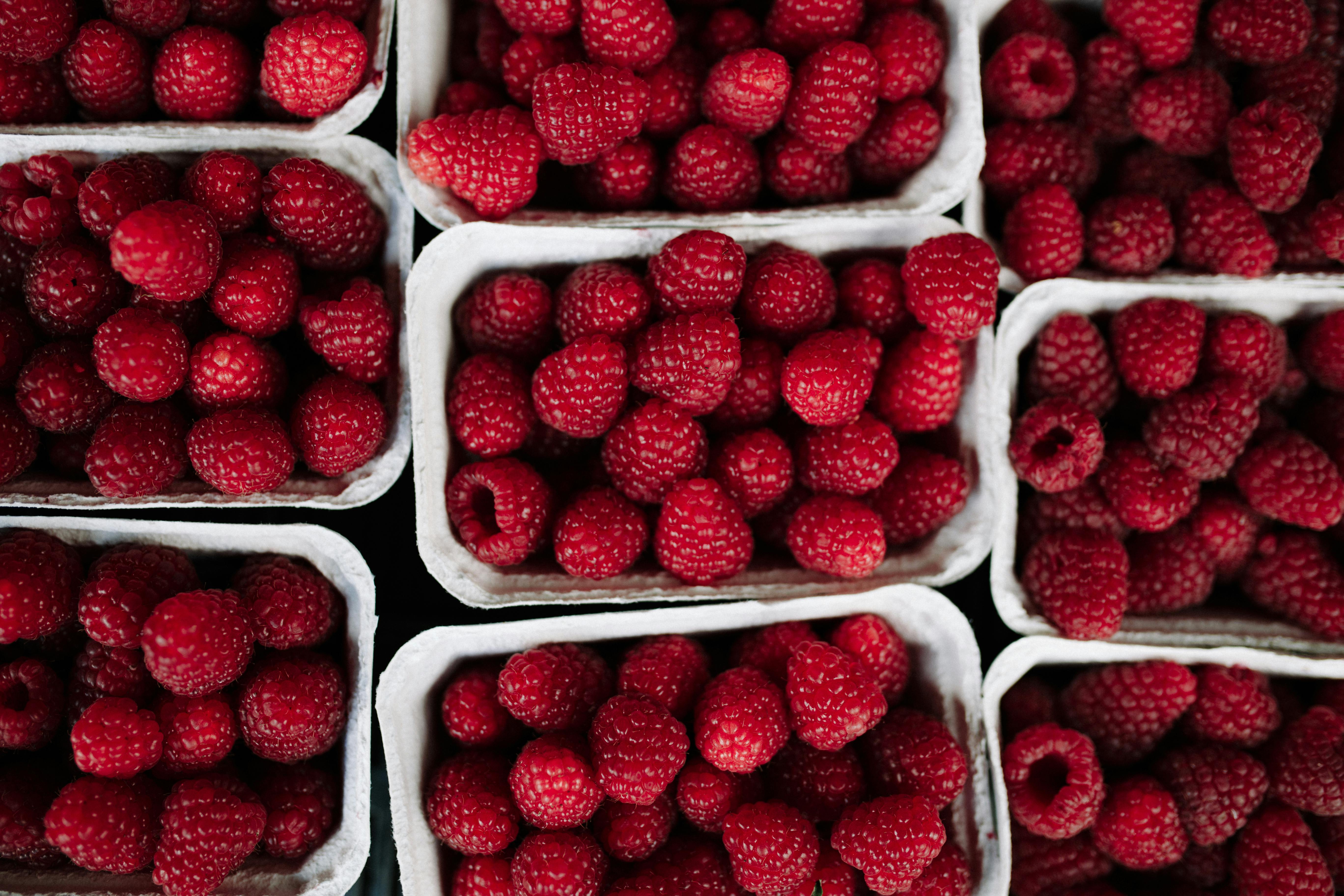 Raspberries in Boxes · Free Stock Photo