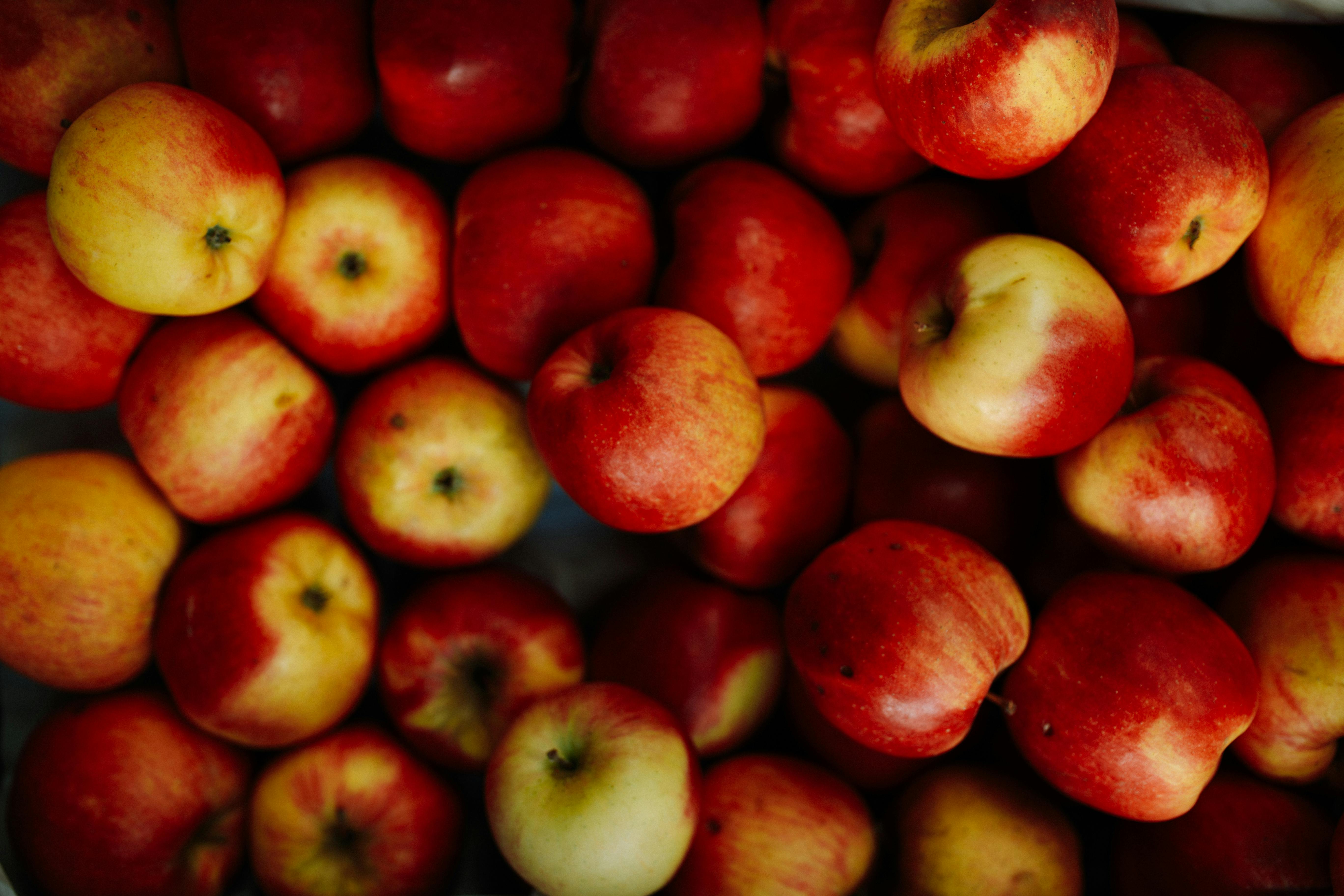 30.000+ Apfel Bilder und Fotos · Kostenlos Downloaden · Pexels Stock-Fotos