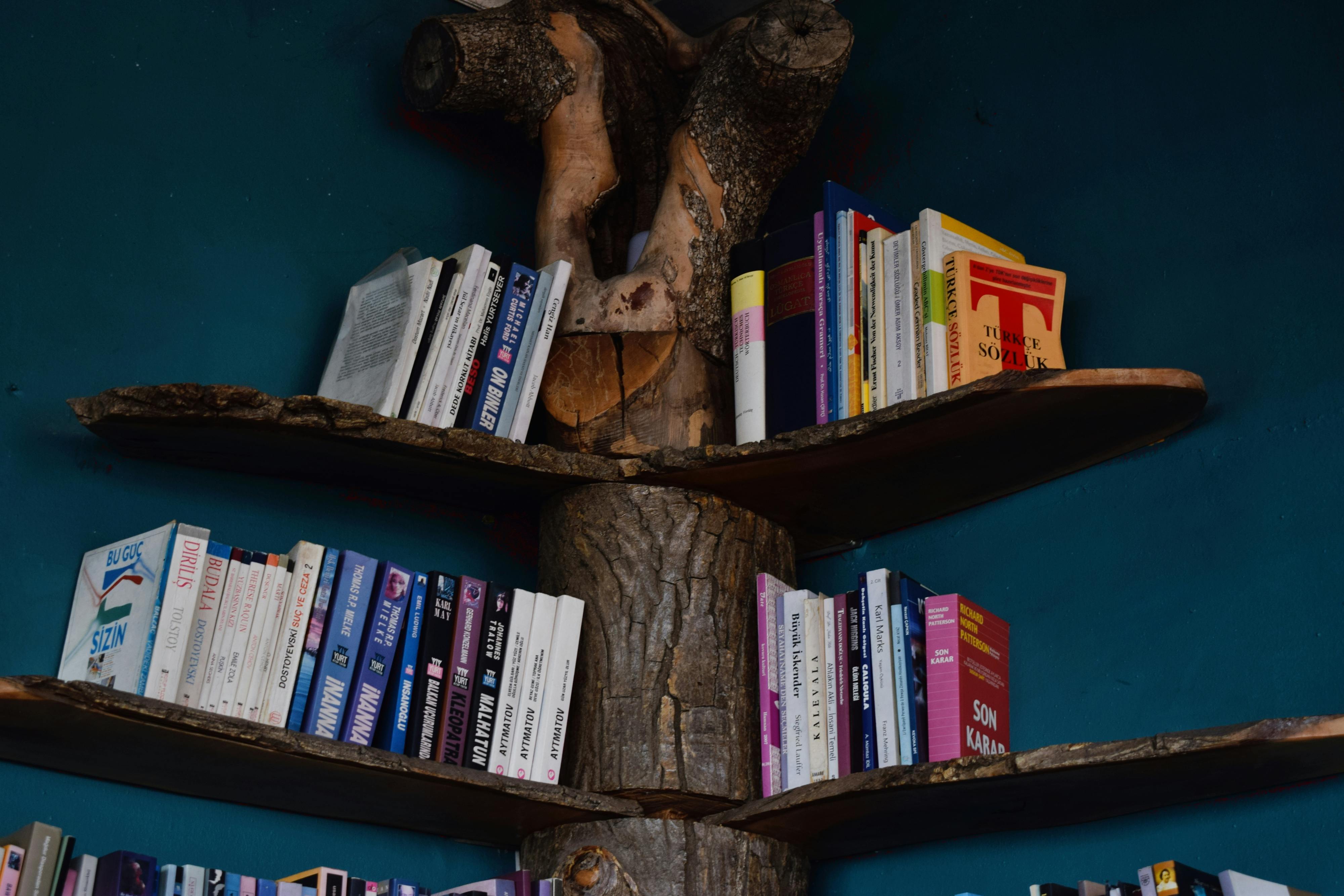 4k Books Photos, Download The BEST Free 4k Books Stock Photos & HD Images