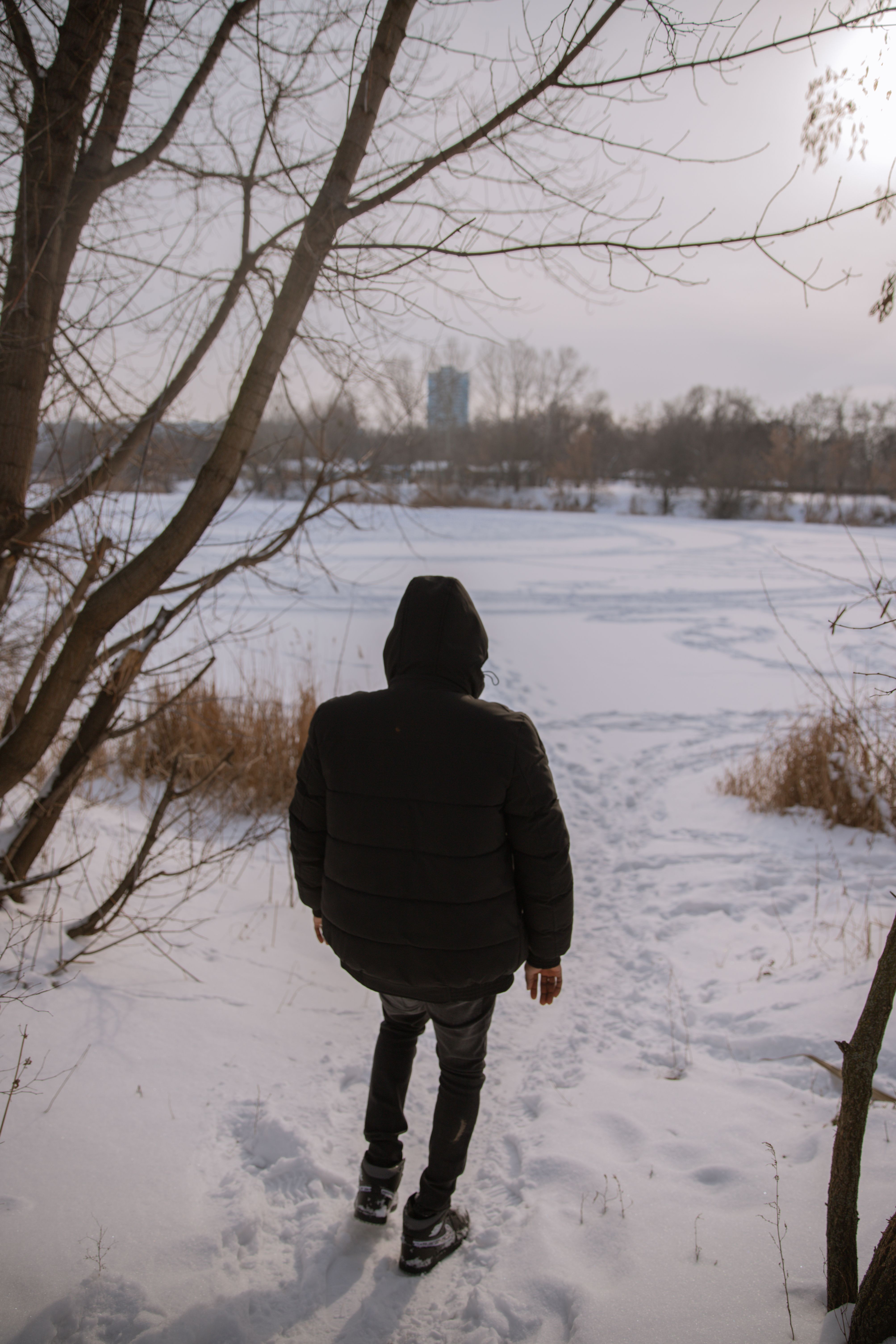 Man Standing in the River and Sampling Water · Free Stock Photo