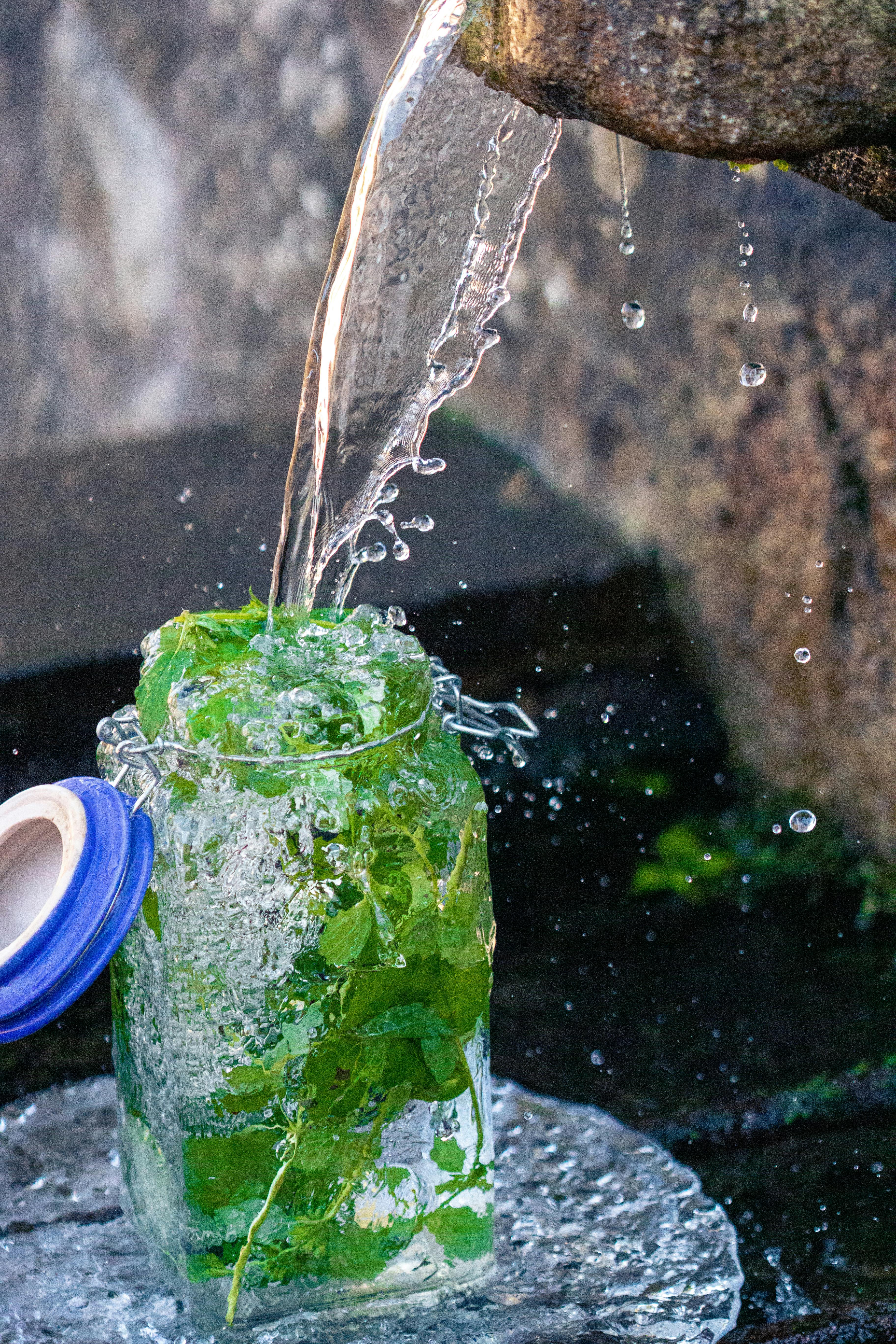 Stream Water Flowing into a Jar with Mint Leaves · Free Stock Photo