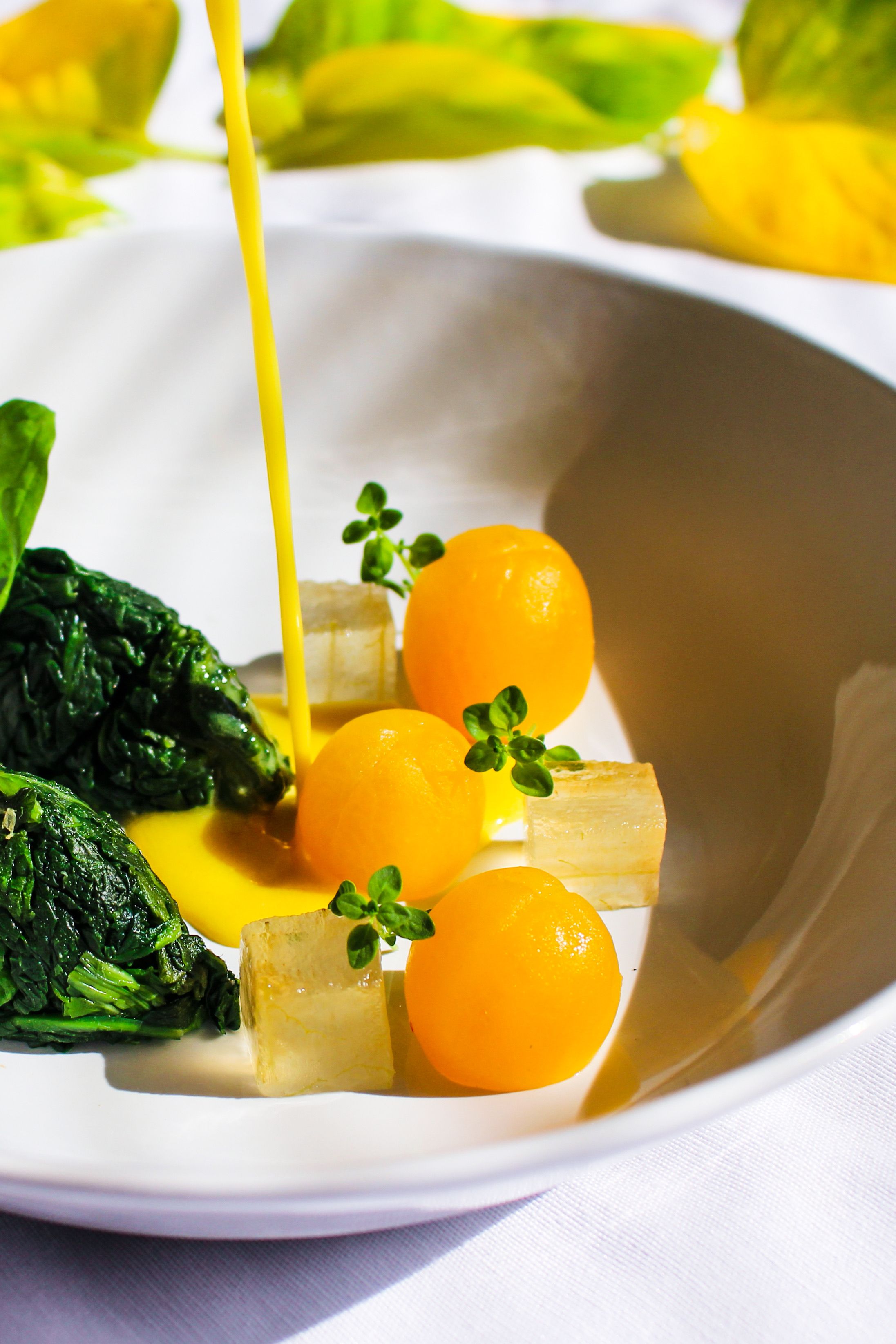 Gastronomic Design Photos, Download The BEST Free Gastronomic Design ...
