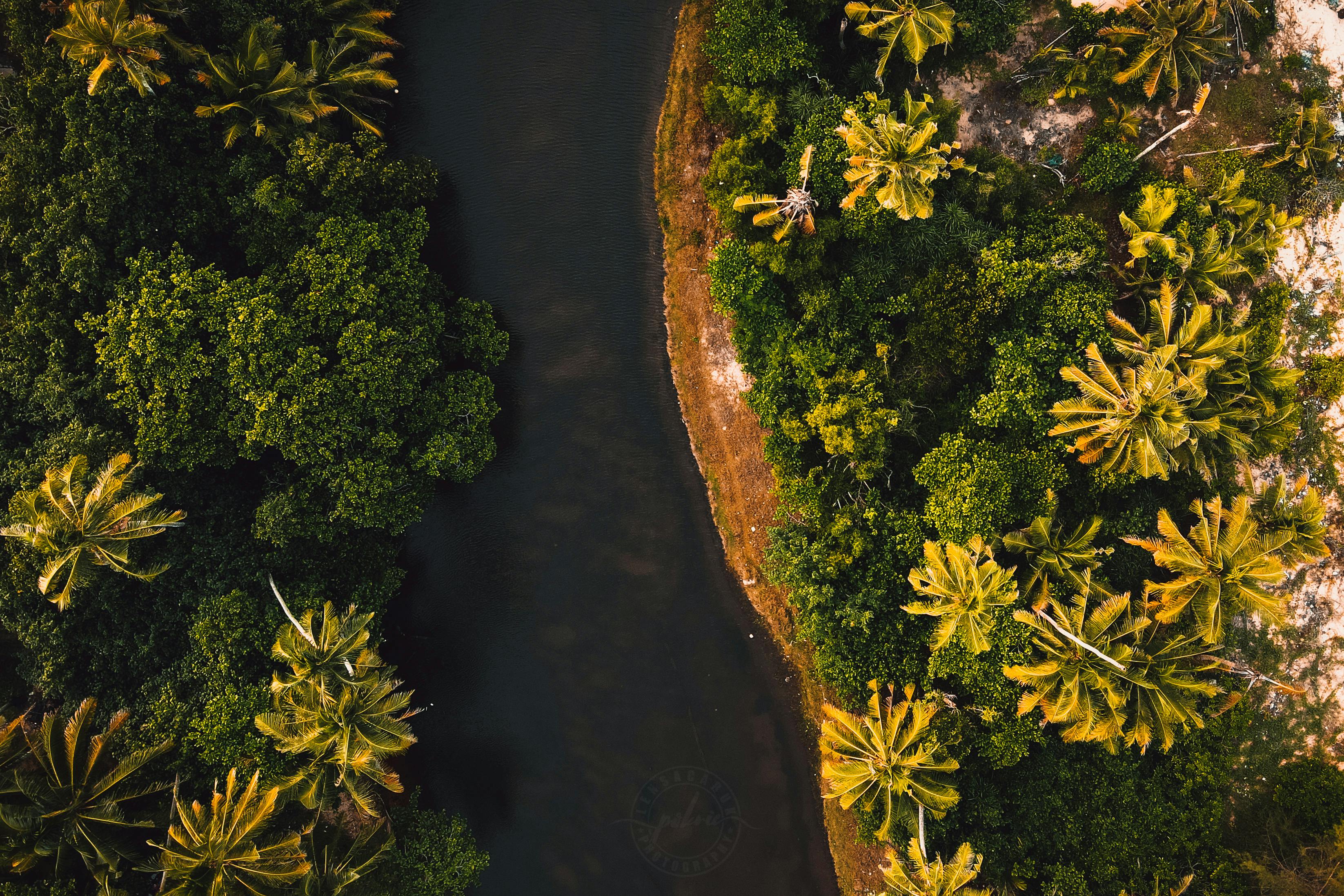 Birds Eye view of a Park in Autumn · Free Stock Photo