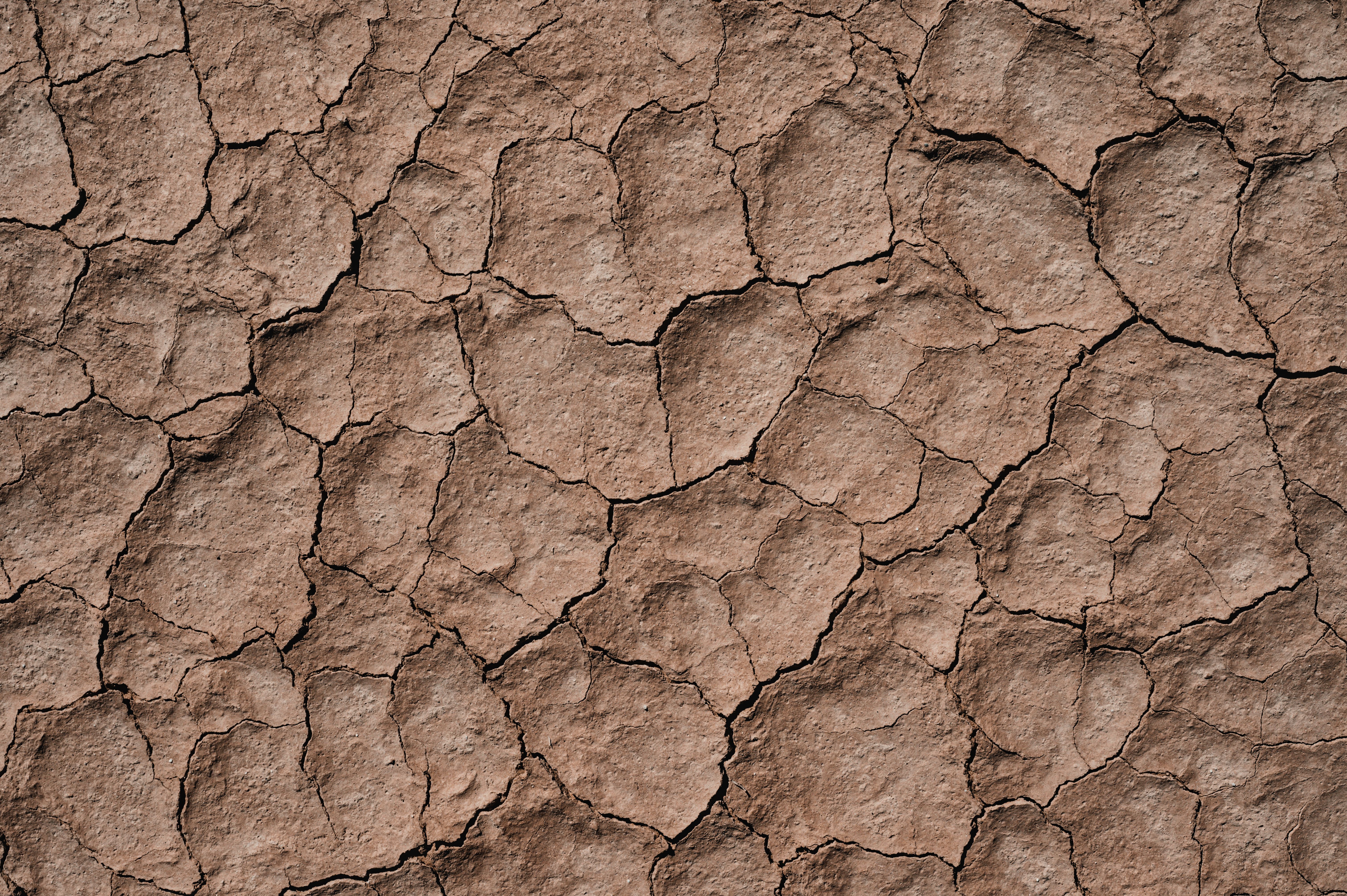 Scorched by Sun Ground · Free Stock Photo