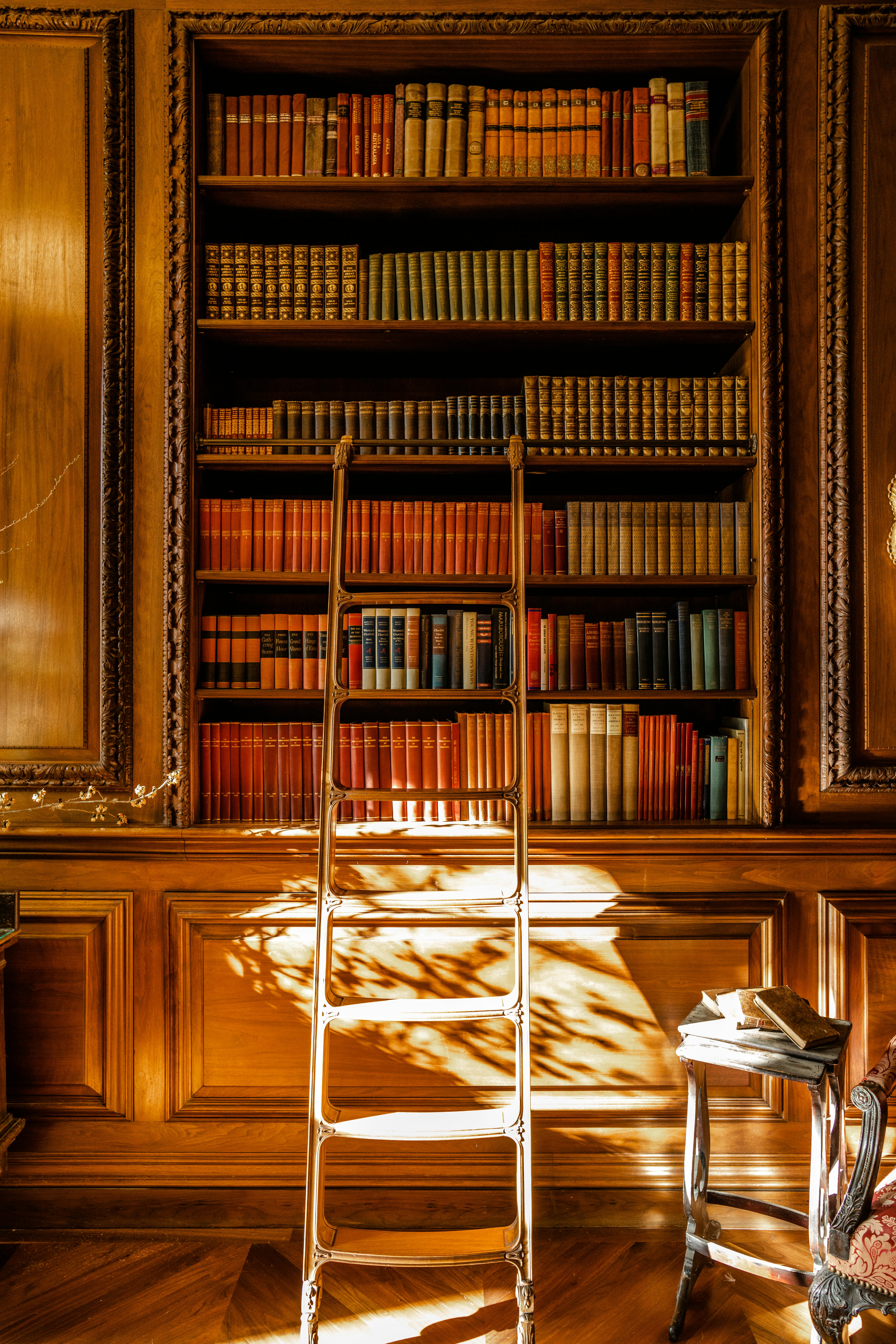 Interior of the Library of Alexandria, Alexandria, Egypt · Free Stock Photo