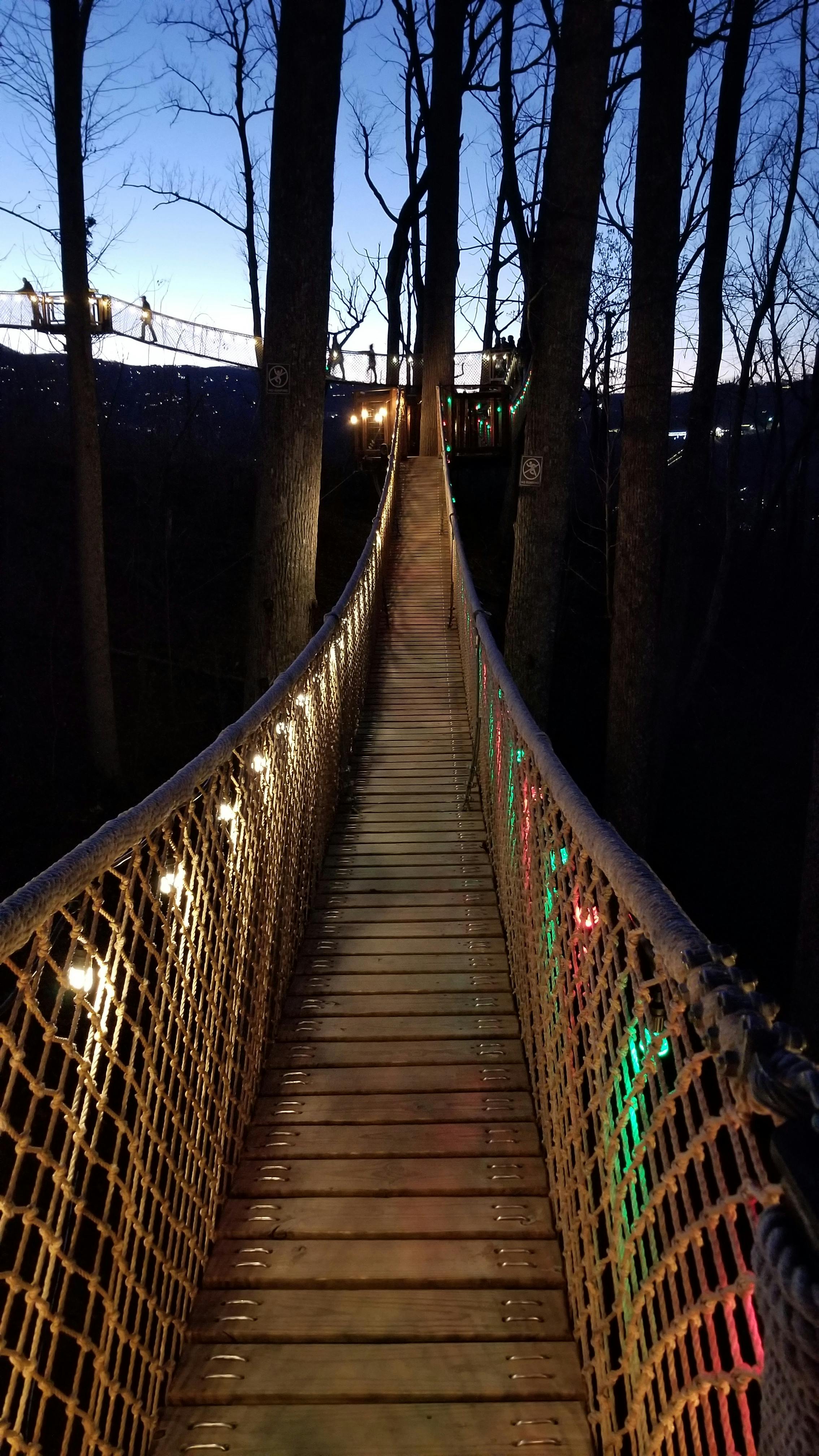 Aaron Wells - Fotografía