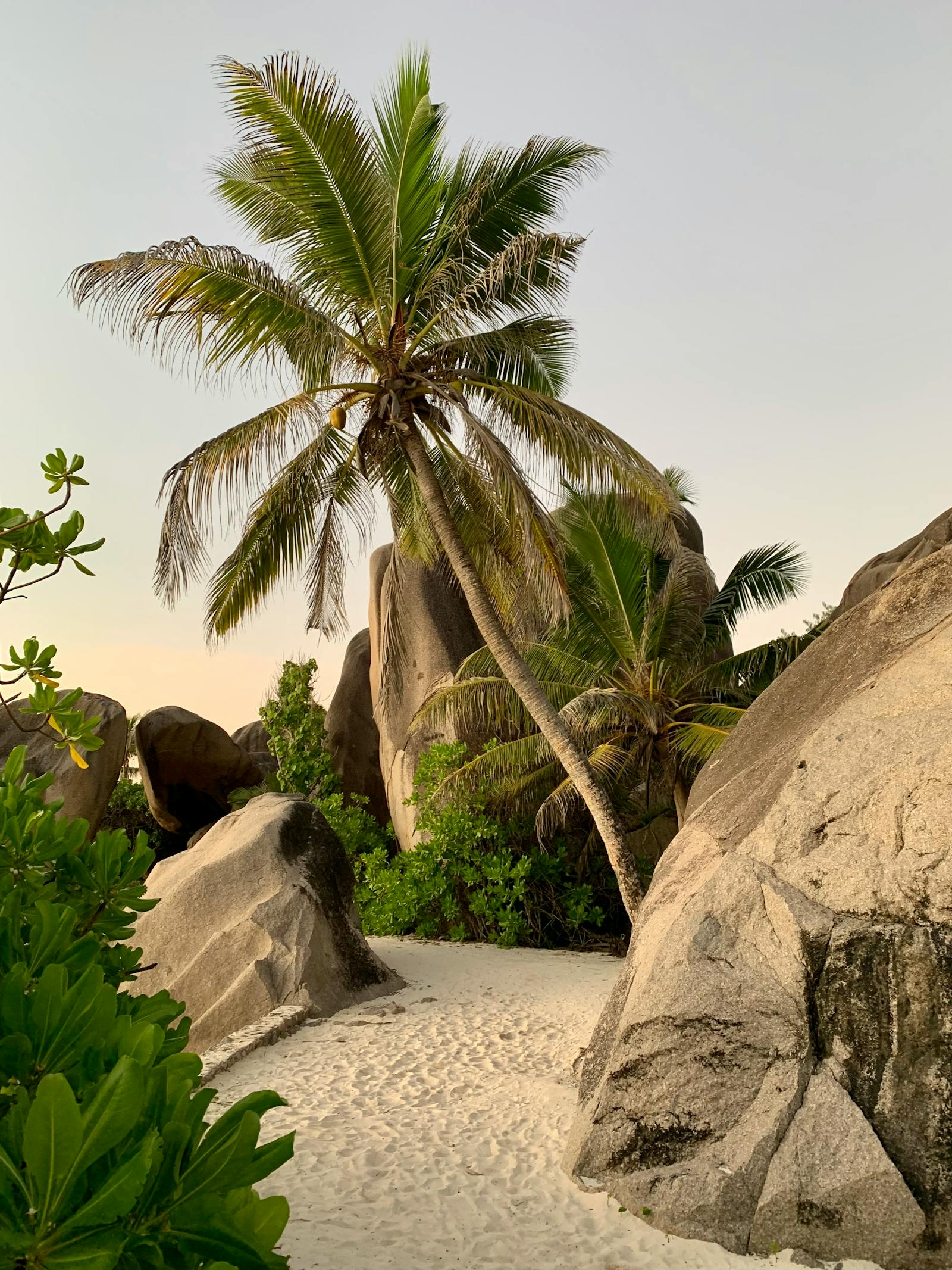 Desert Oasis Photos, Download The BEST Free Desert Oasis Stock Photos ...