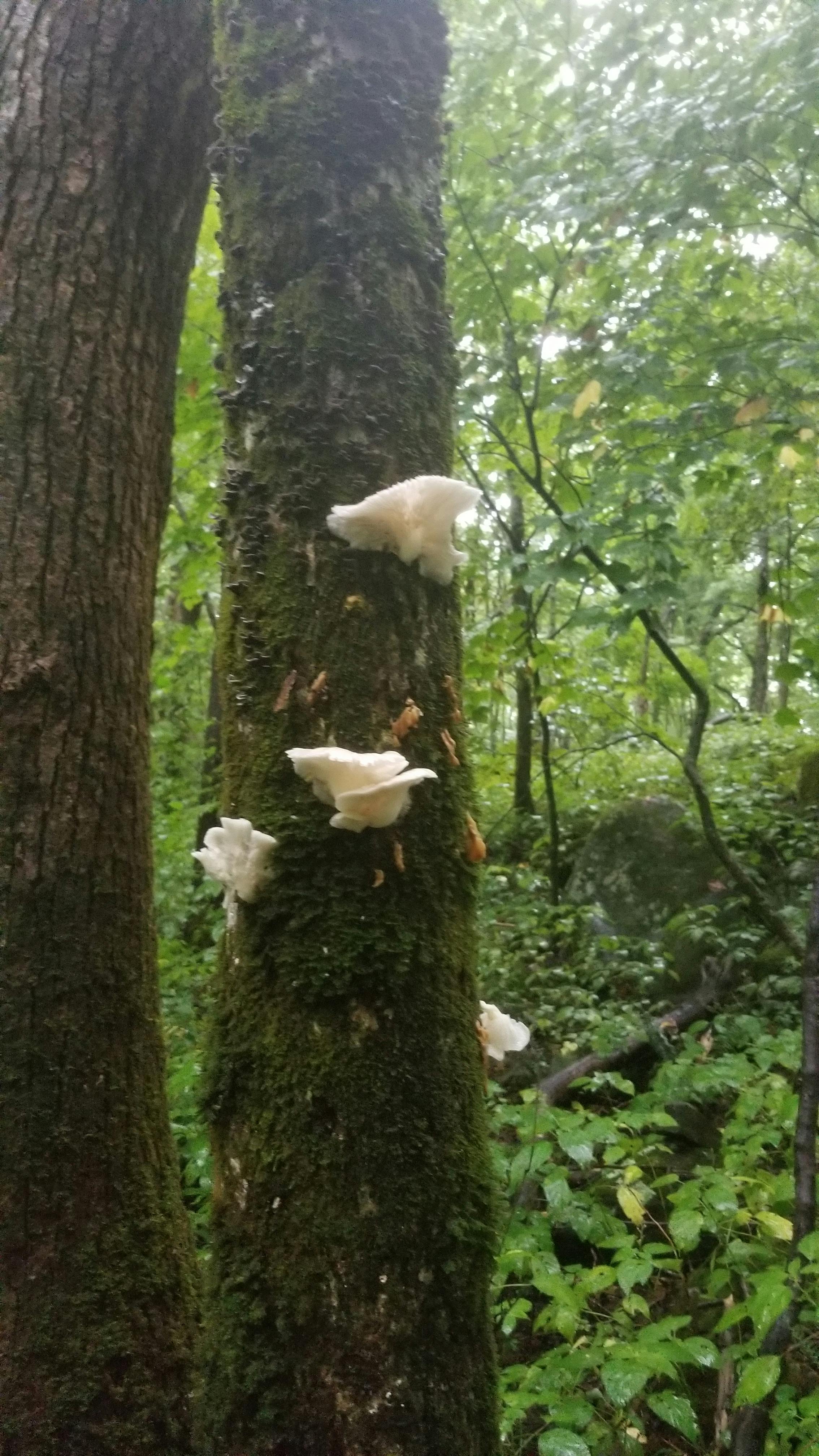 Aaron Wells - Fotografía