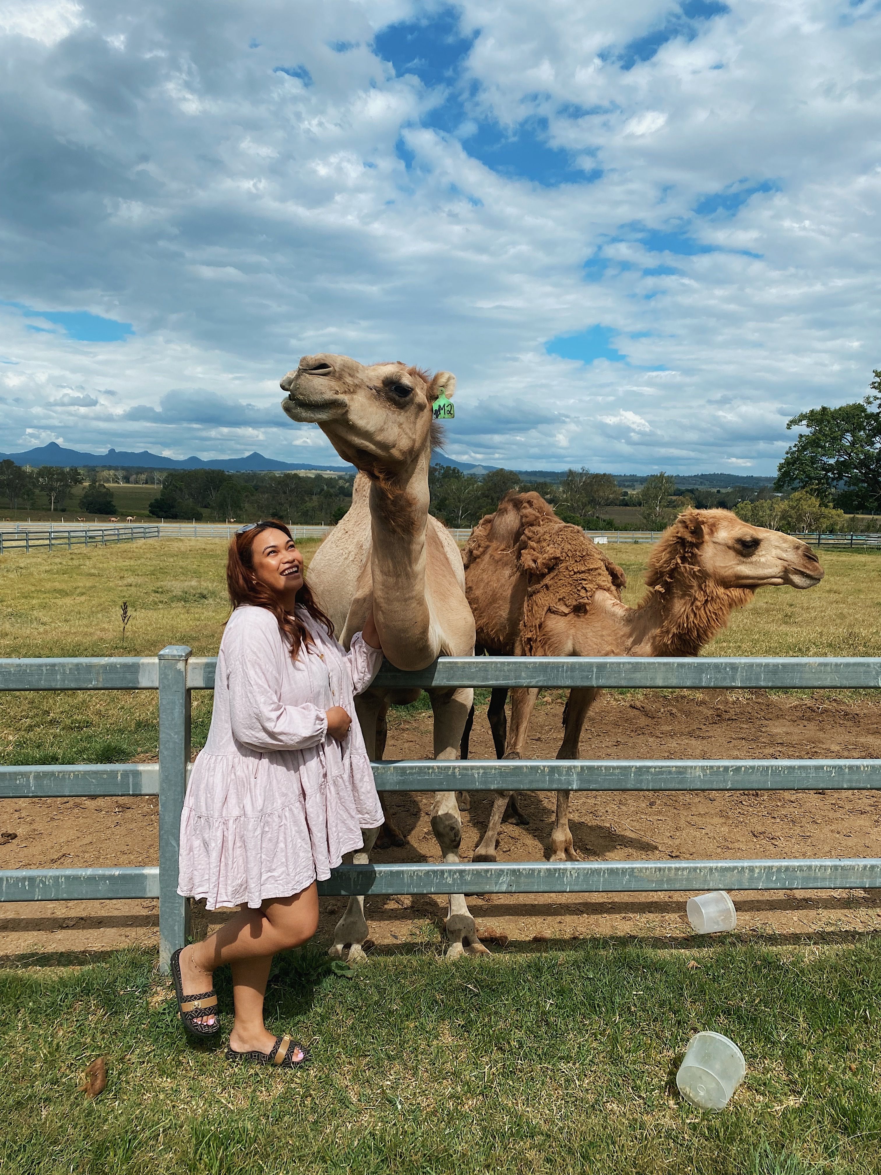 Young Woman Petting a Camel Standing in a Paddock · Free Stock Photo