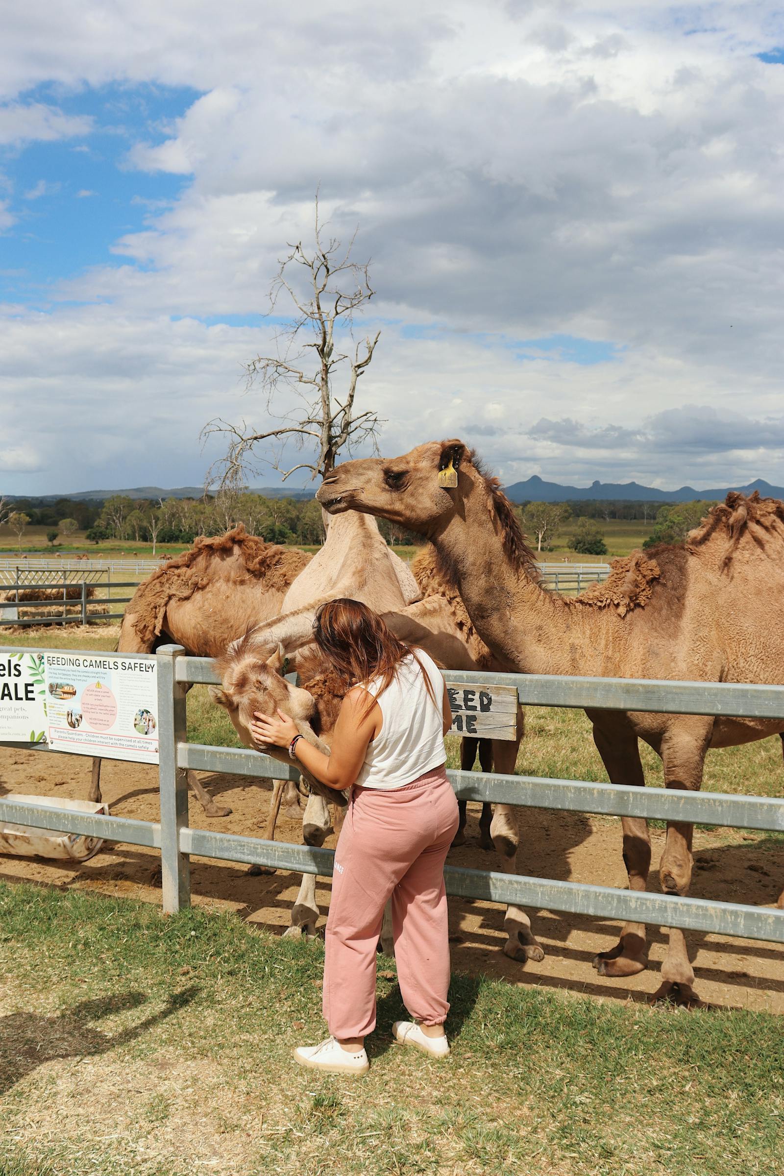 Women Camel Toe Photos, Download The BEST Free Women Camel Toe Stock ...