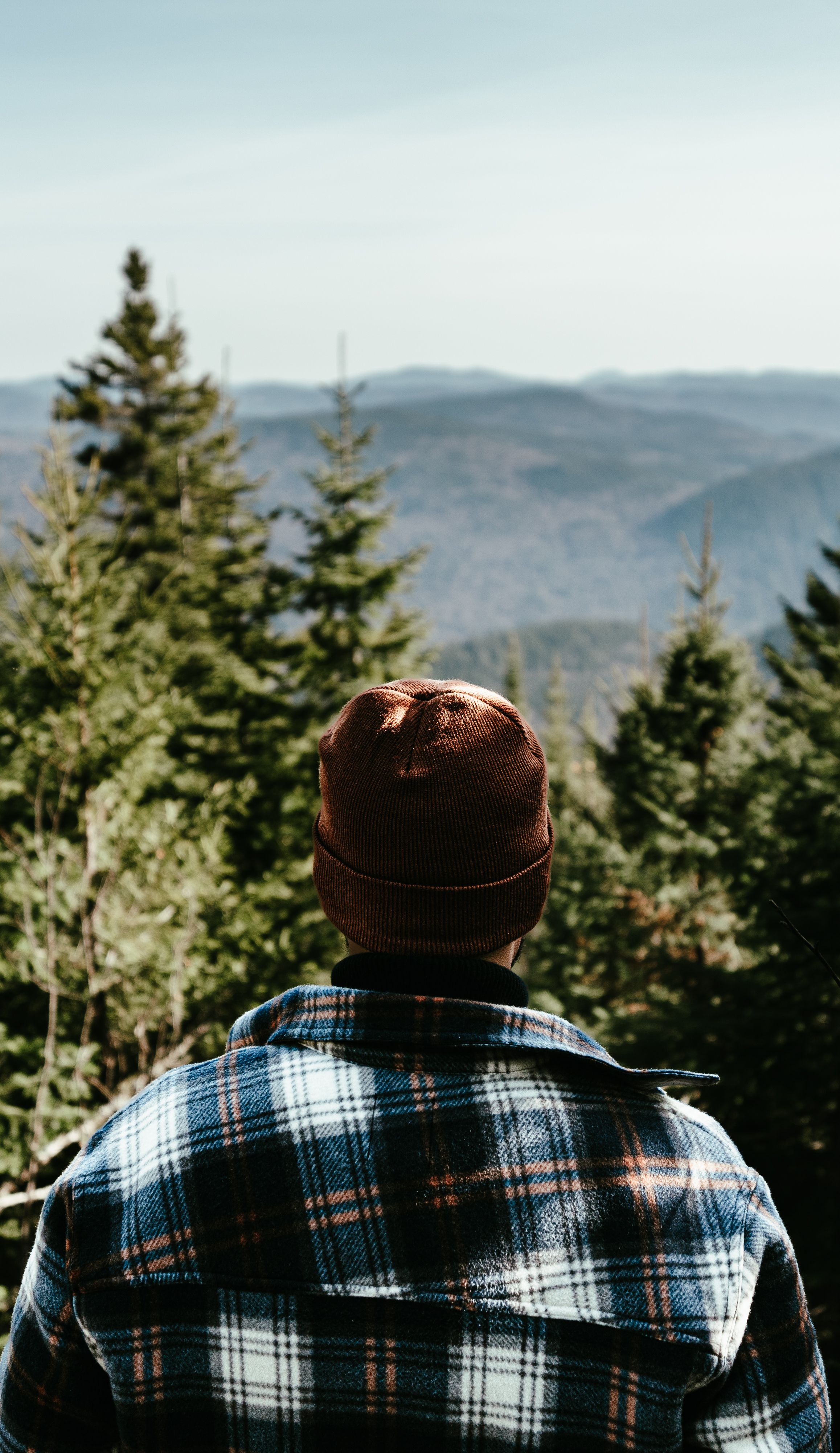 Back View of Man in Hat and Shirt in Forest · Free Stock Photo