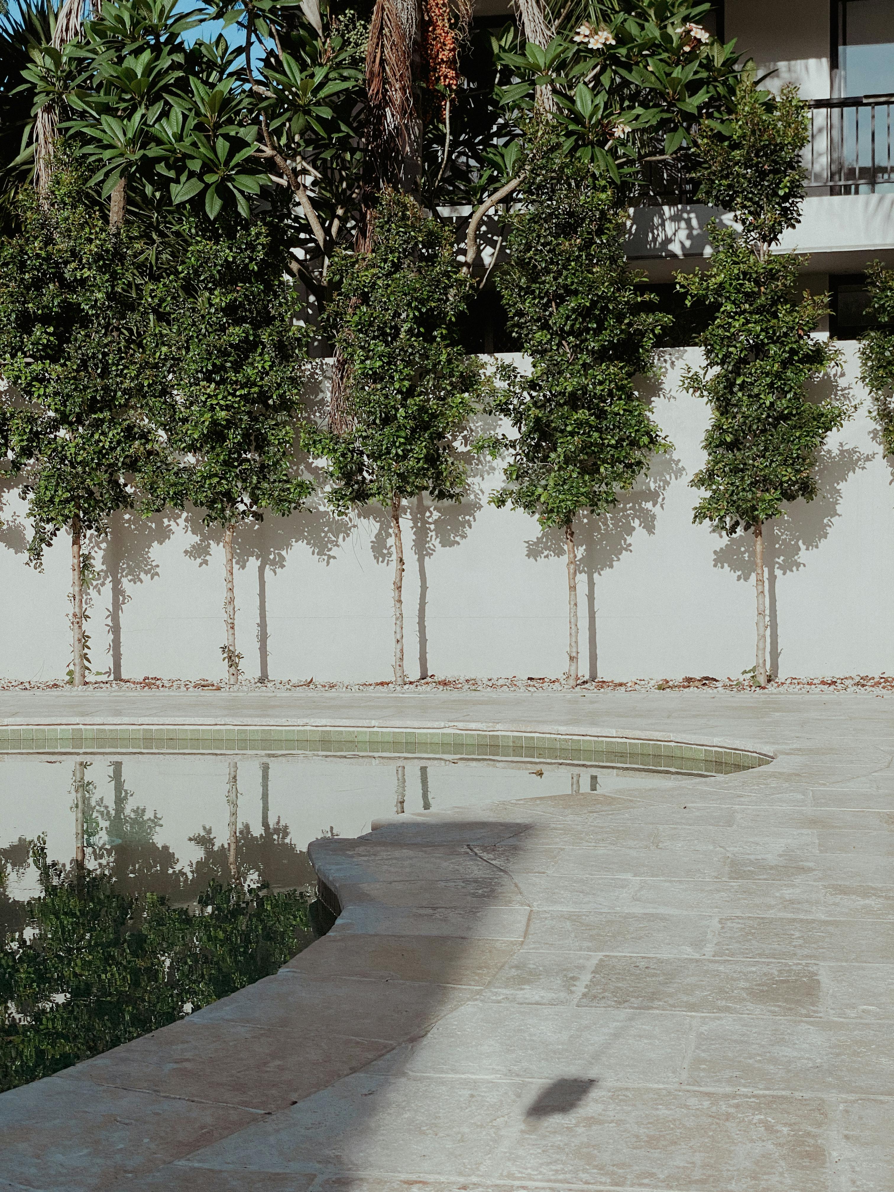 Neutral Bay Photos, Download The BEST Free Neutral Bay Stock Photos ...