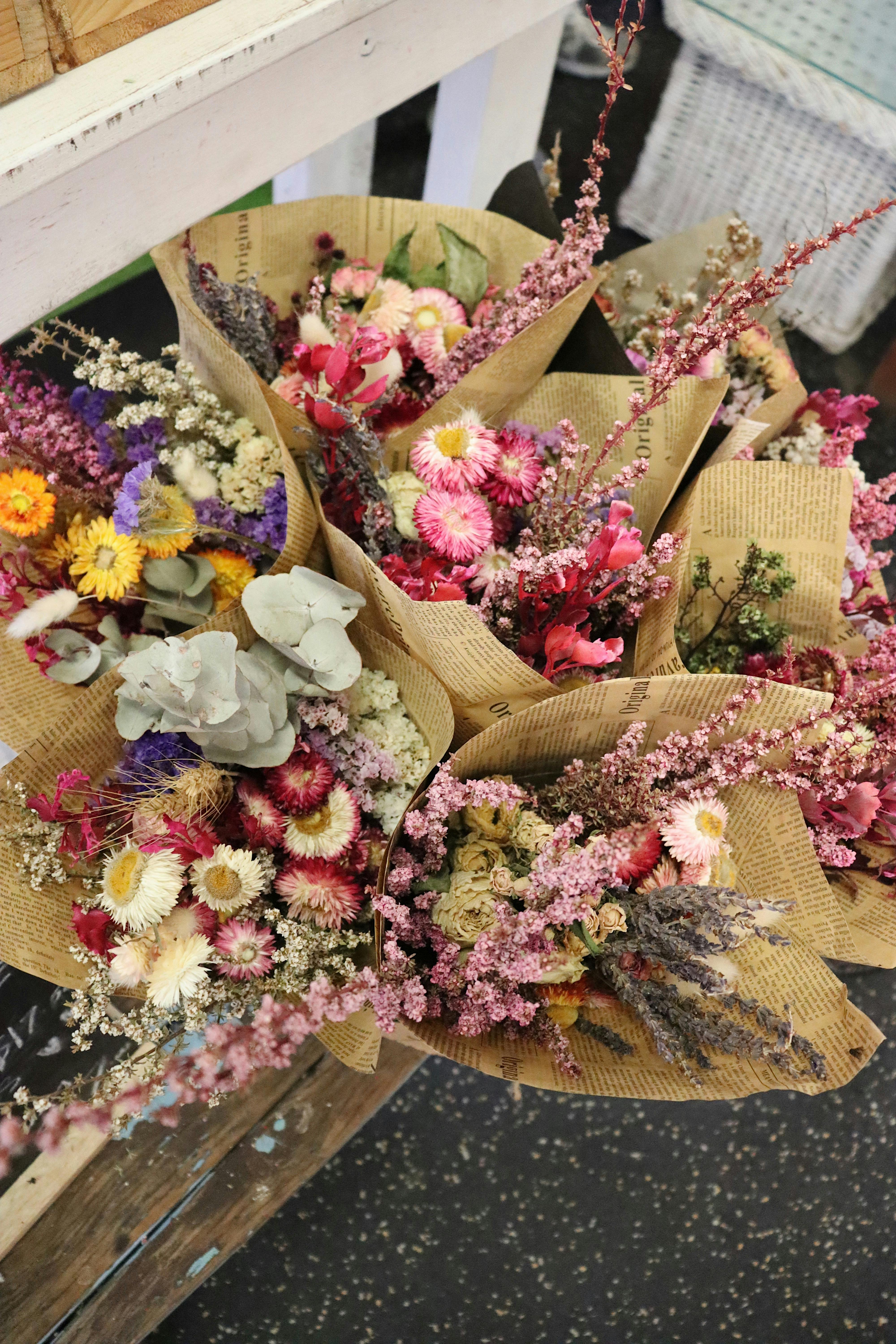 Spring Is Almost Here Photos, Download The BEST Free Spring Is Almost ...