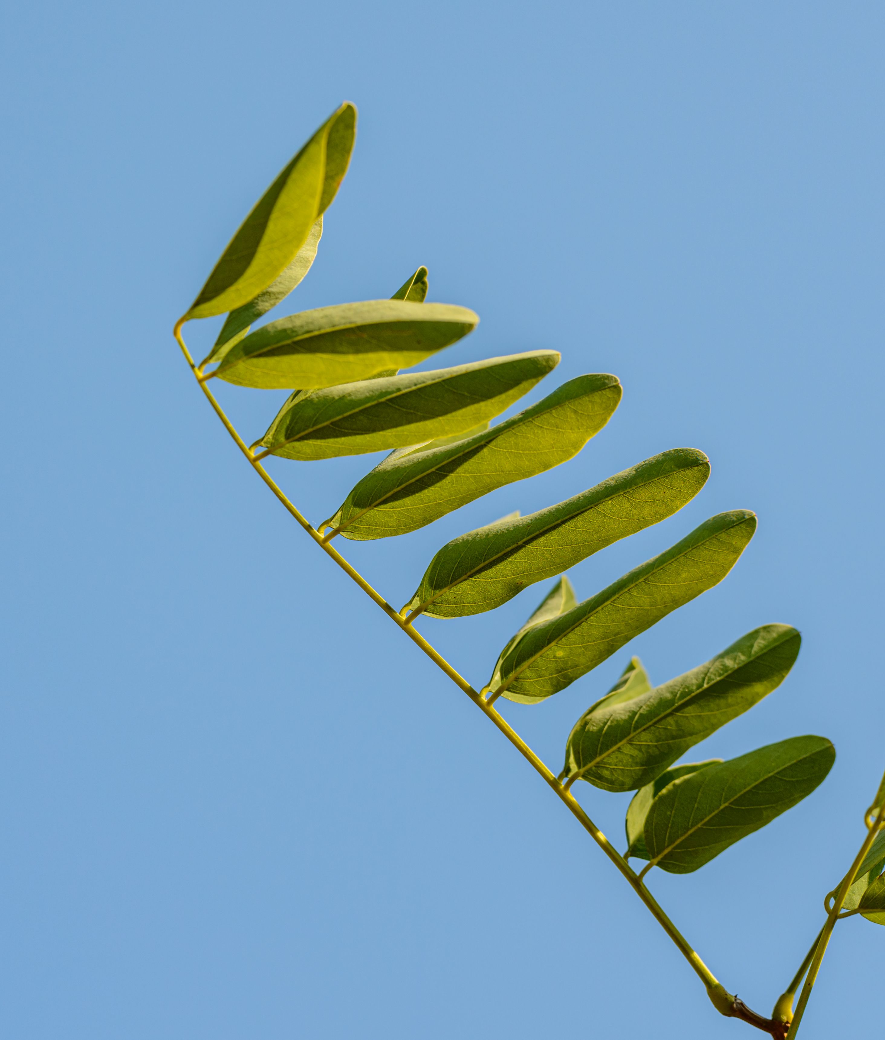Plant Groth Photos, Download The BEST Free Plant Groth Stock Photos ...