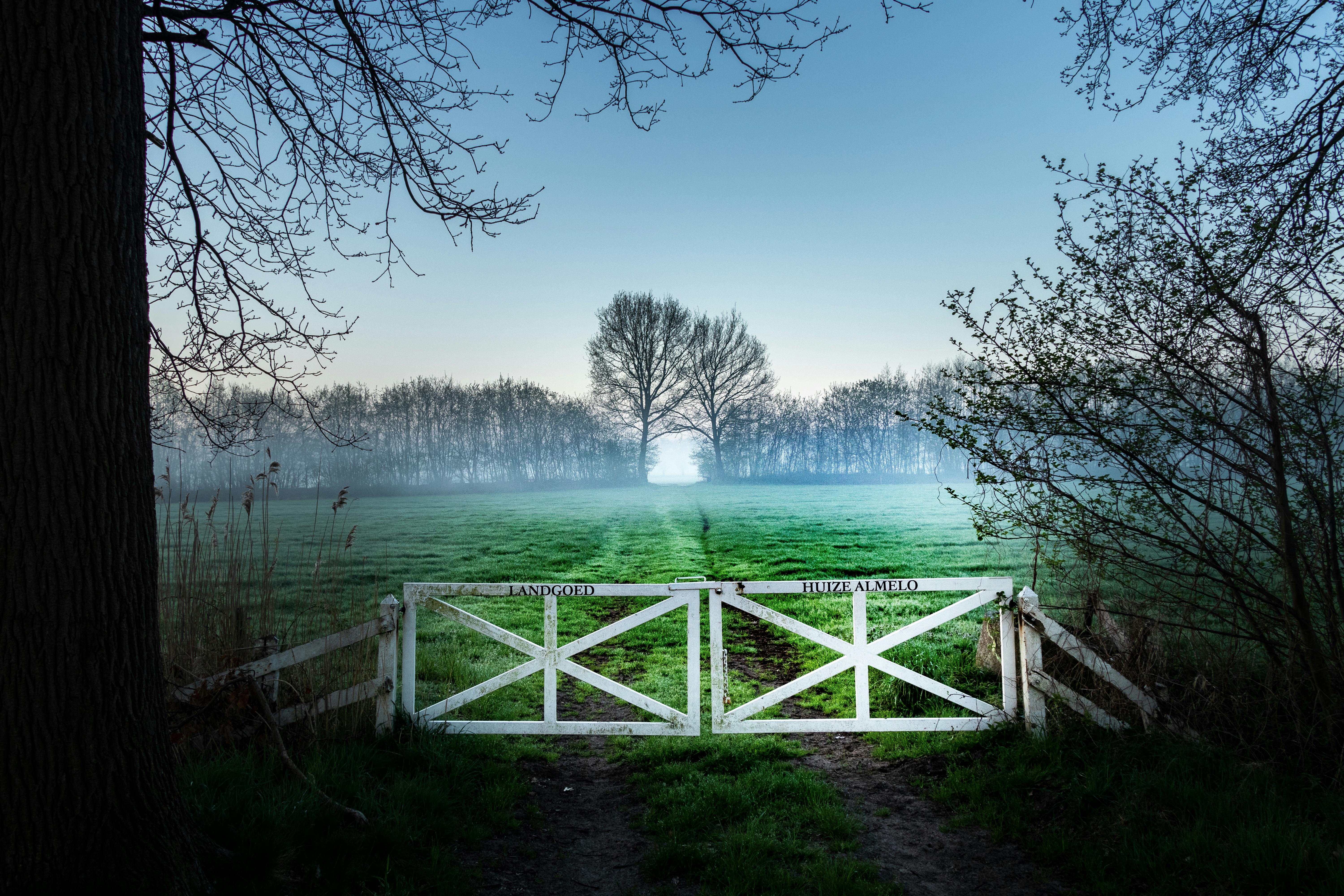 Free stock photo of fence, fog, golden hour