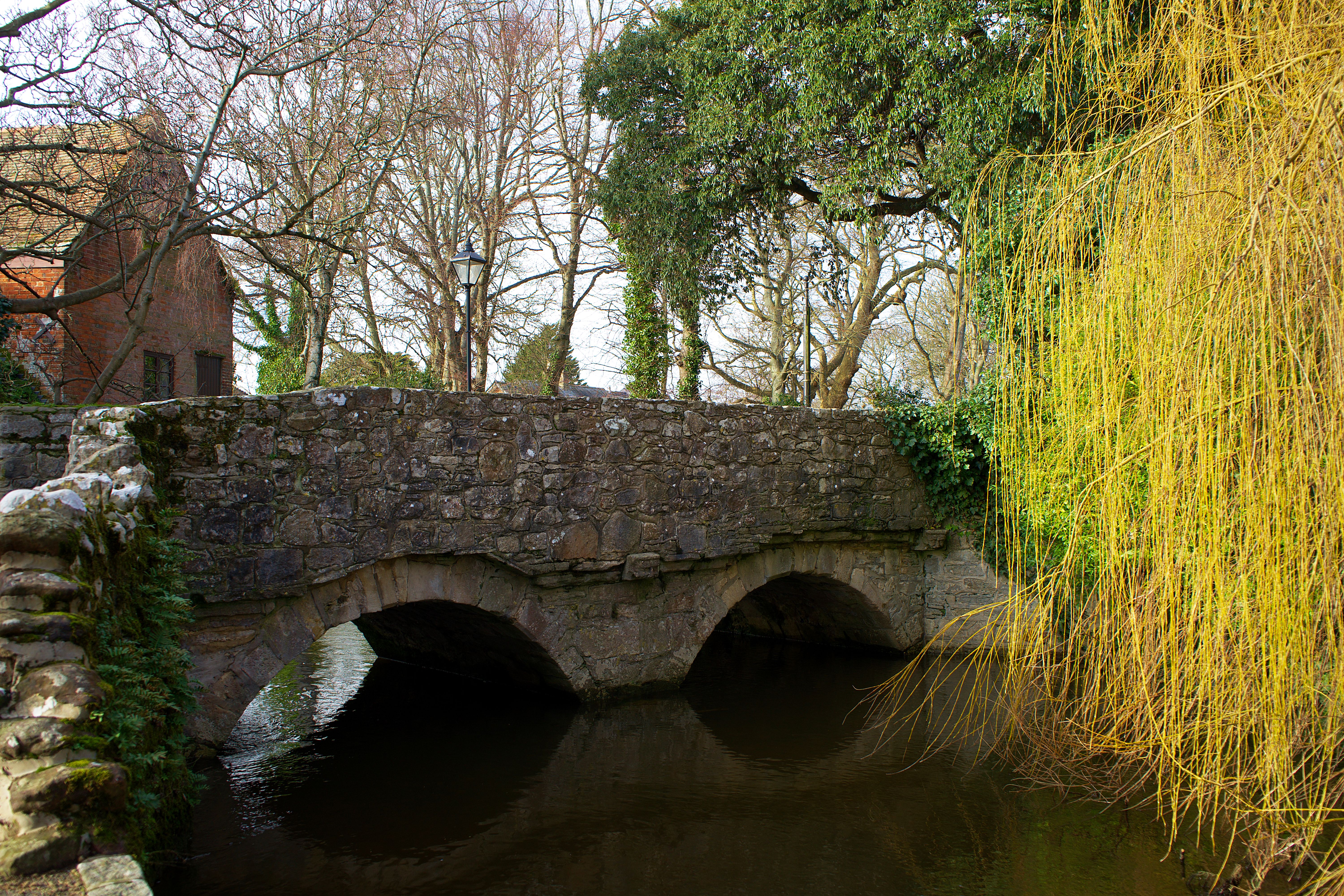 Old Stone Bridge in Summer Park · Free Stock Photo