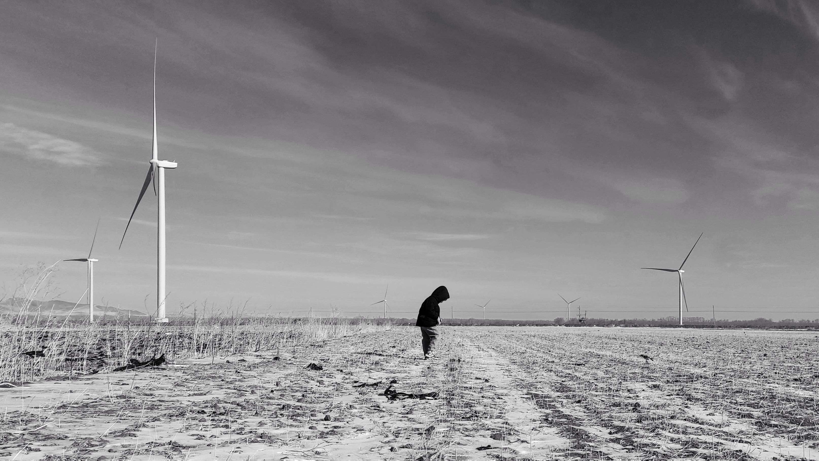 Person on a Field with Wind Turbines · Free Stock Photo