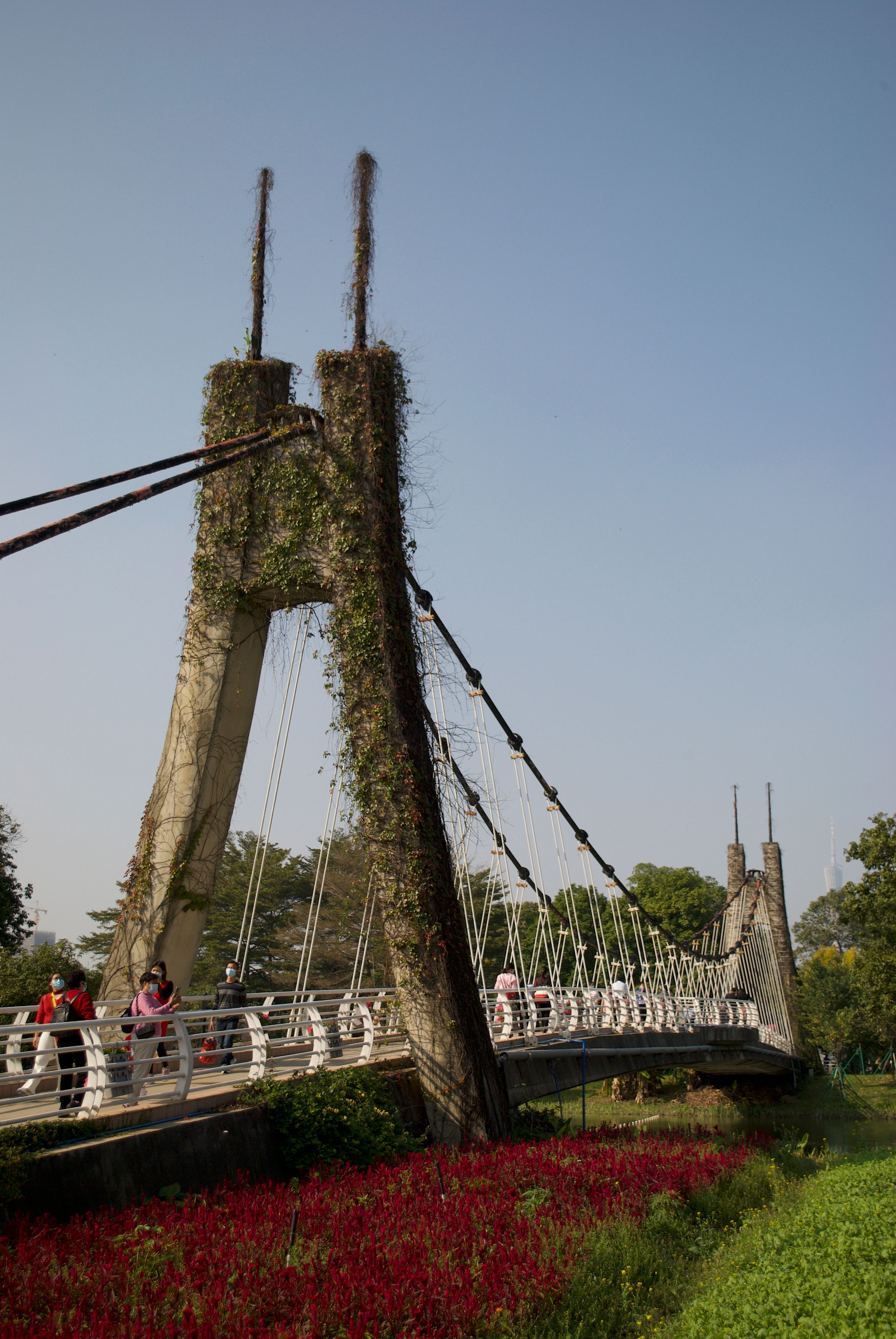 A Bridge Overgrown with Climbing Plants · Free Stock Photo