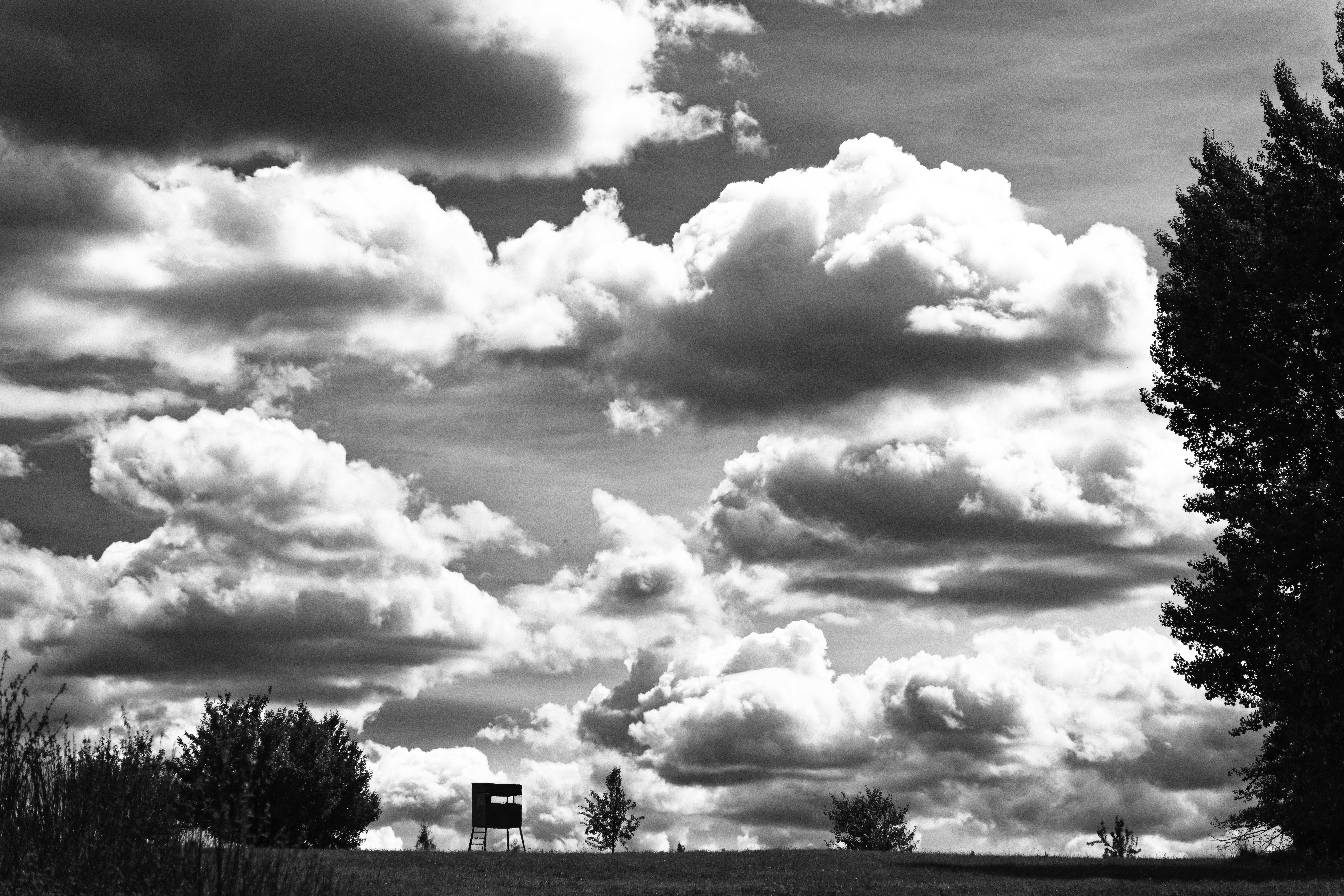 Grayscale Photo of Clouds in the Sky · Free Stock Photo