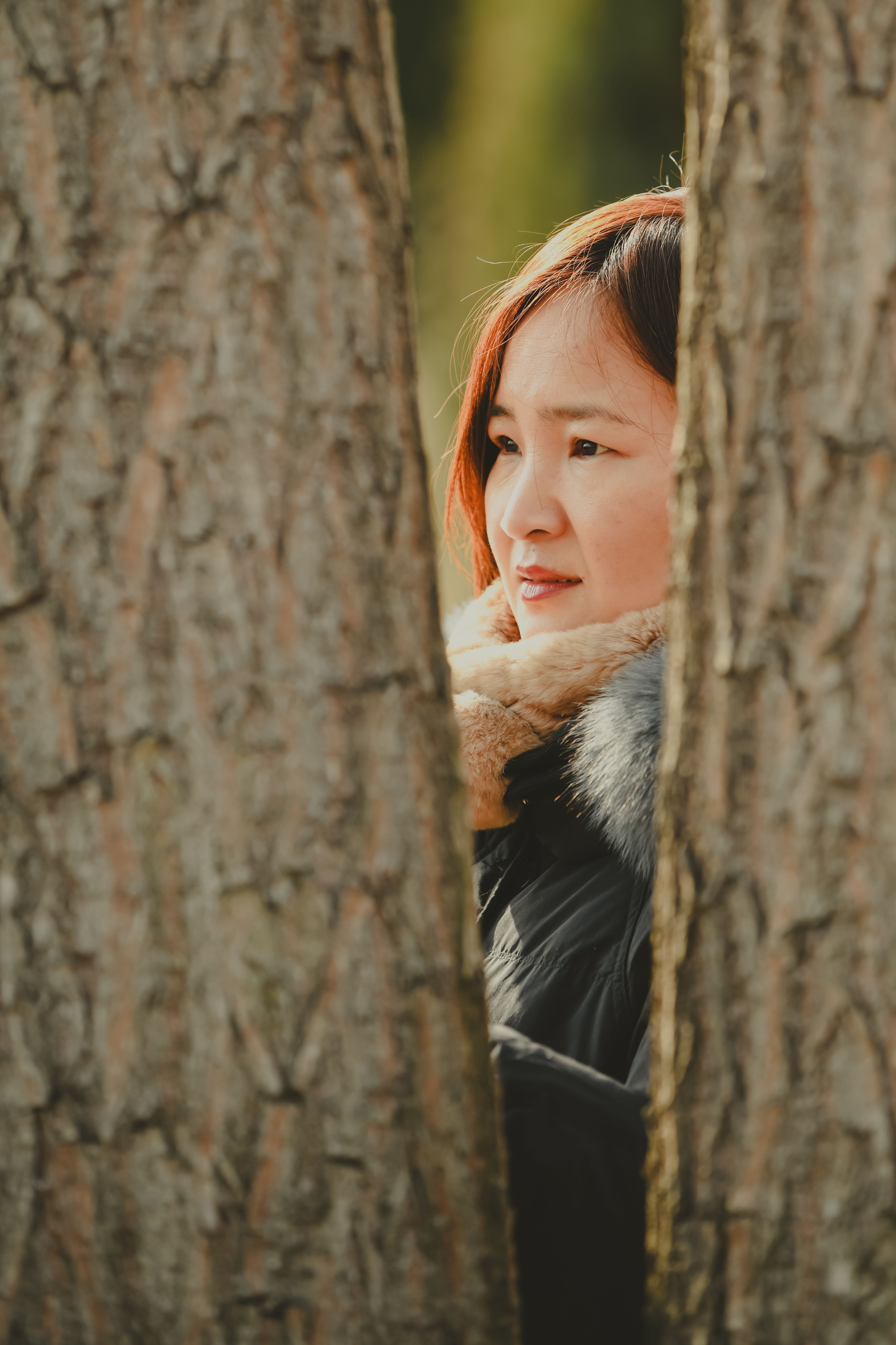 Warming Photos, Download The BEST Free Warming Stock Photos & HD Images