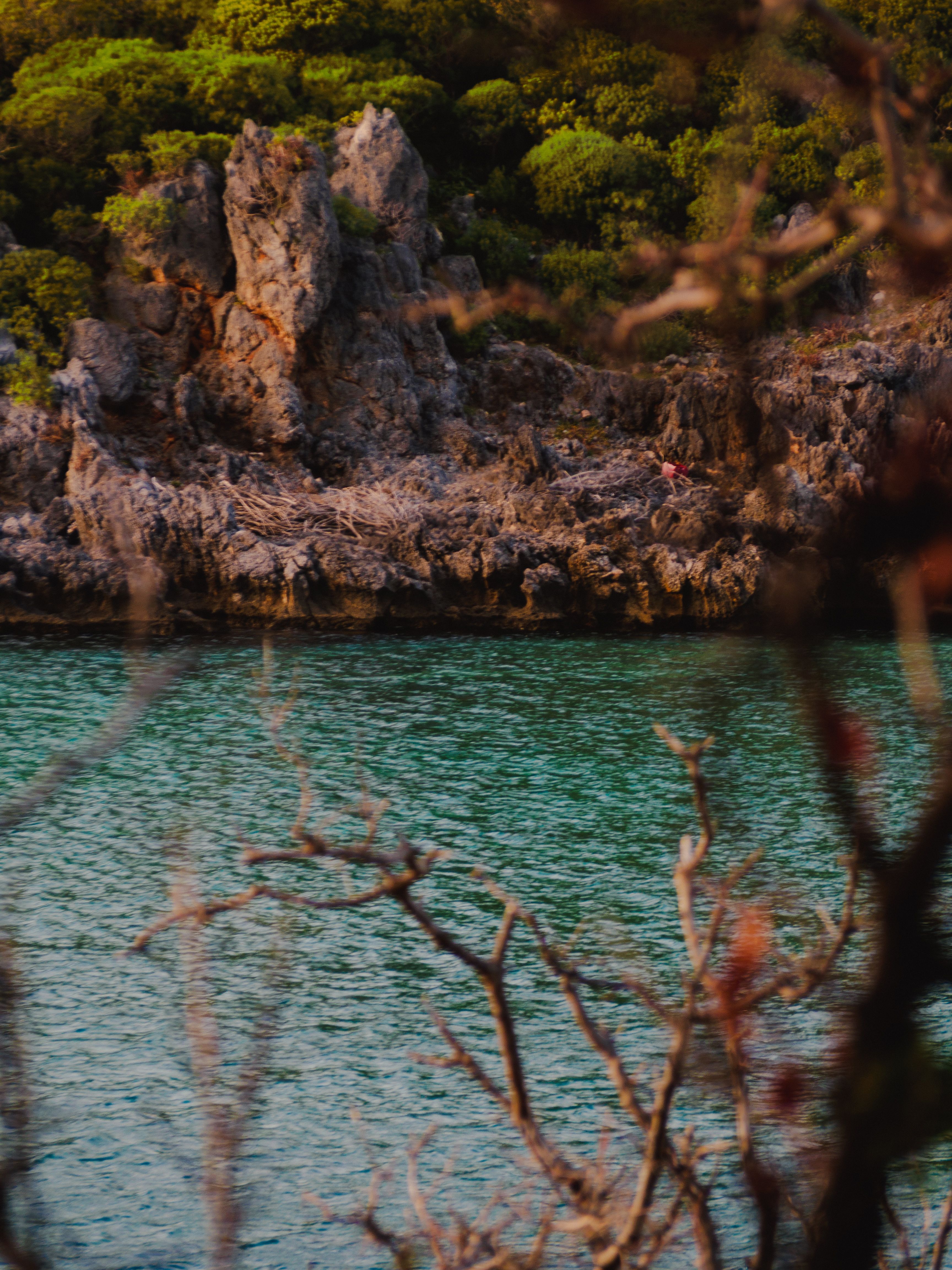 Sharp River Bank · Free Stock Photo