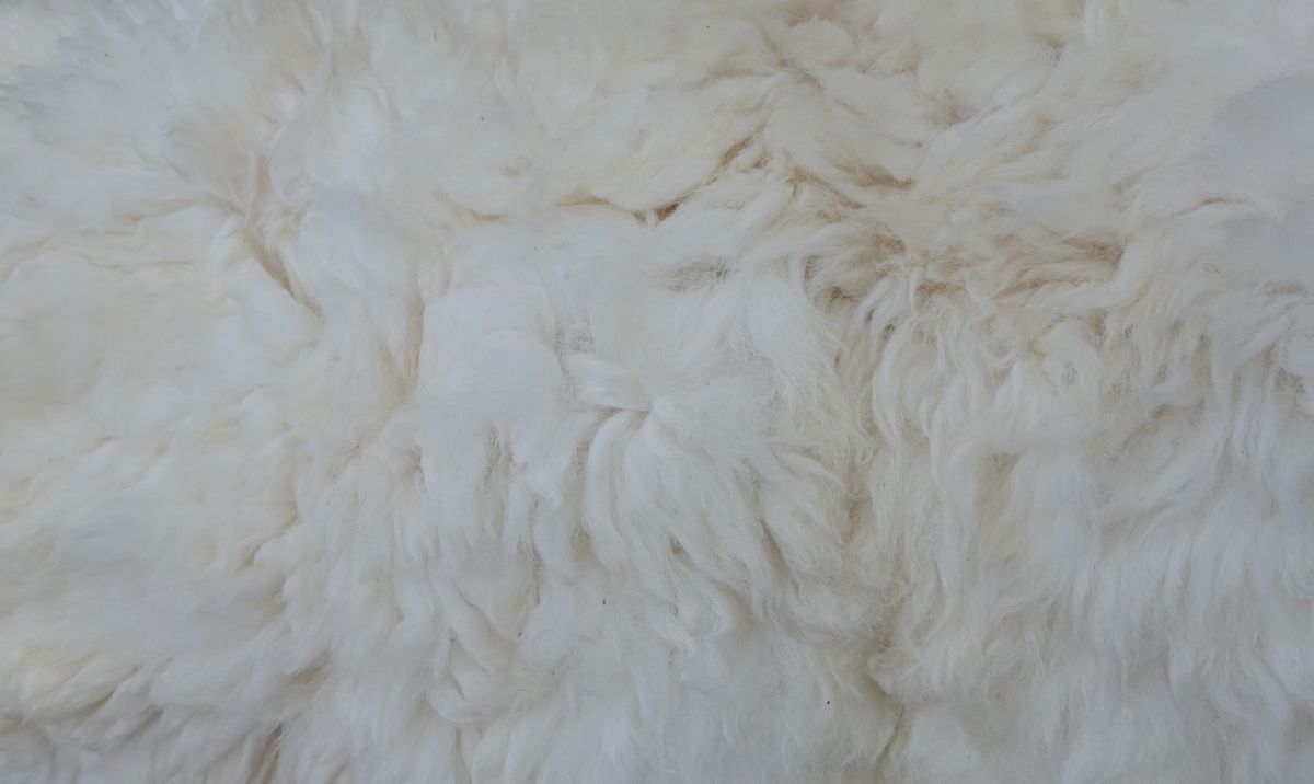 Velvet Texture Photos, Download The BEST Free Velvet Texture Stock ...