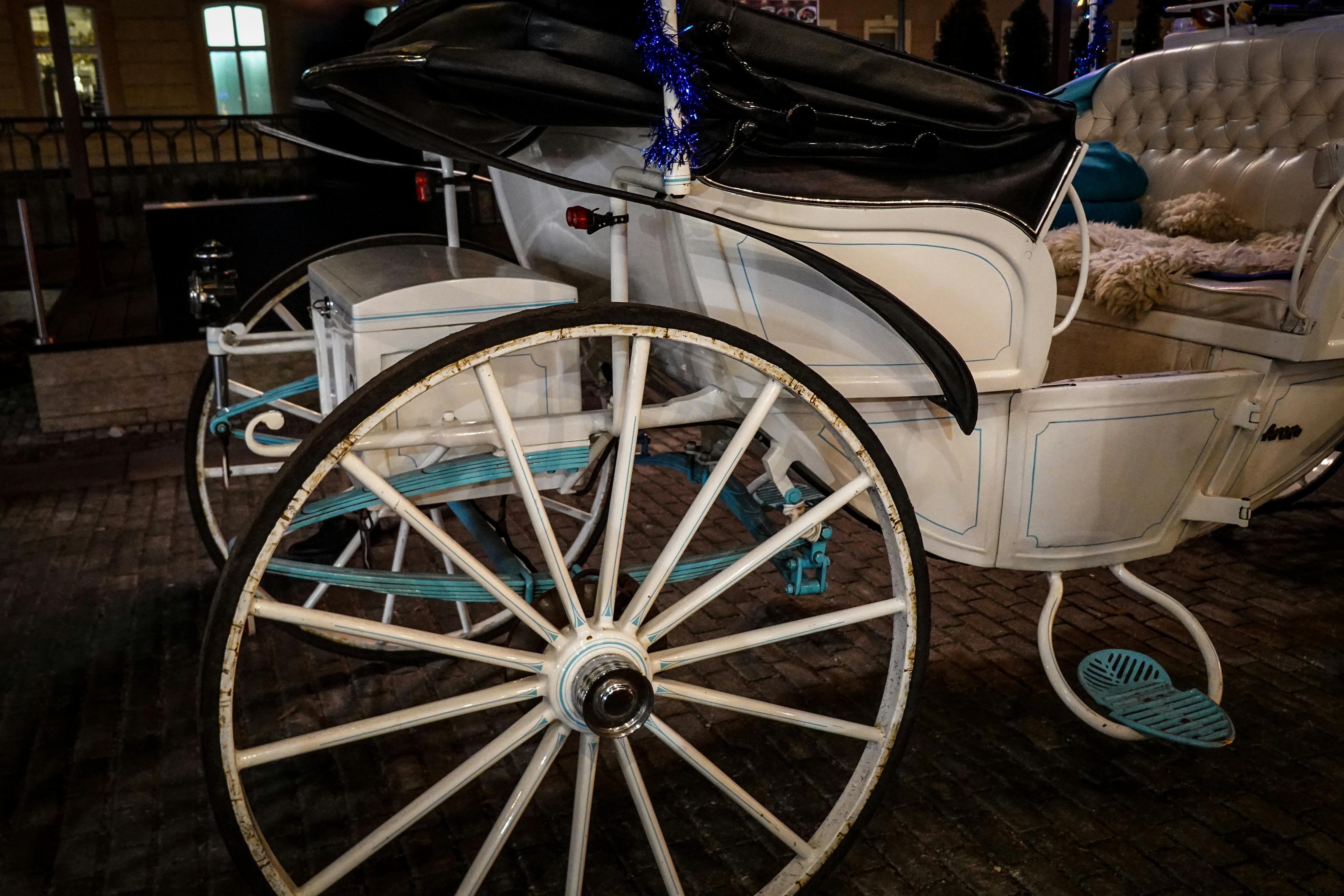 Luxury Horse Drawn Carriage Ride Photos, Download The BEST Free Luxury ...