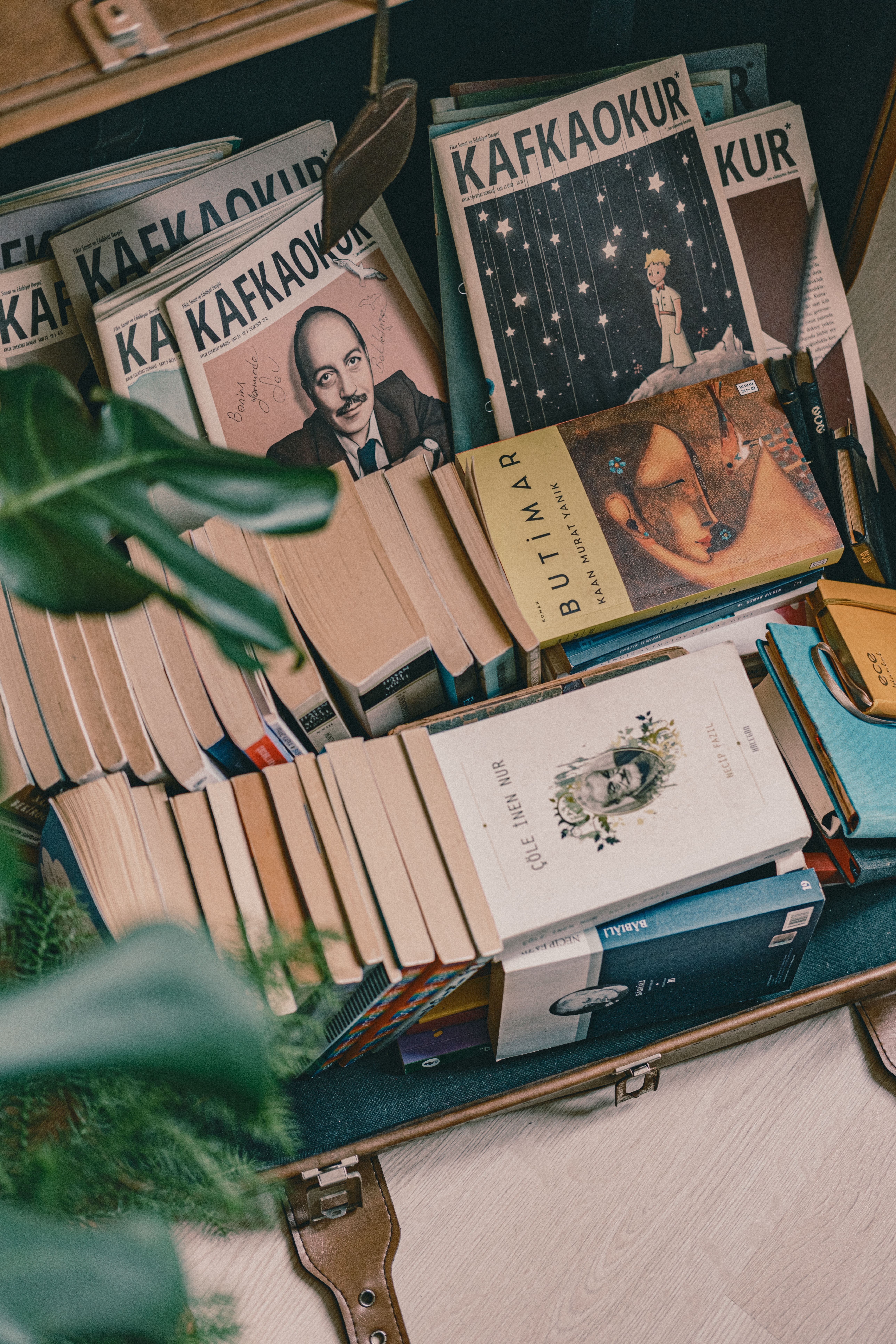 Magazines and Books on Shelf · Free Stock Photo
