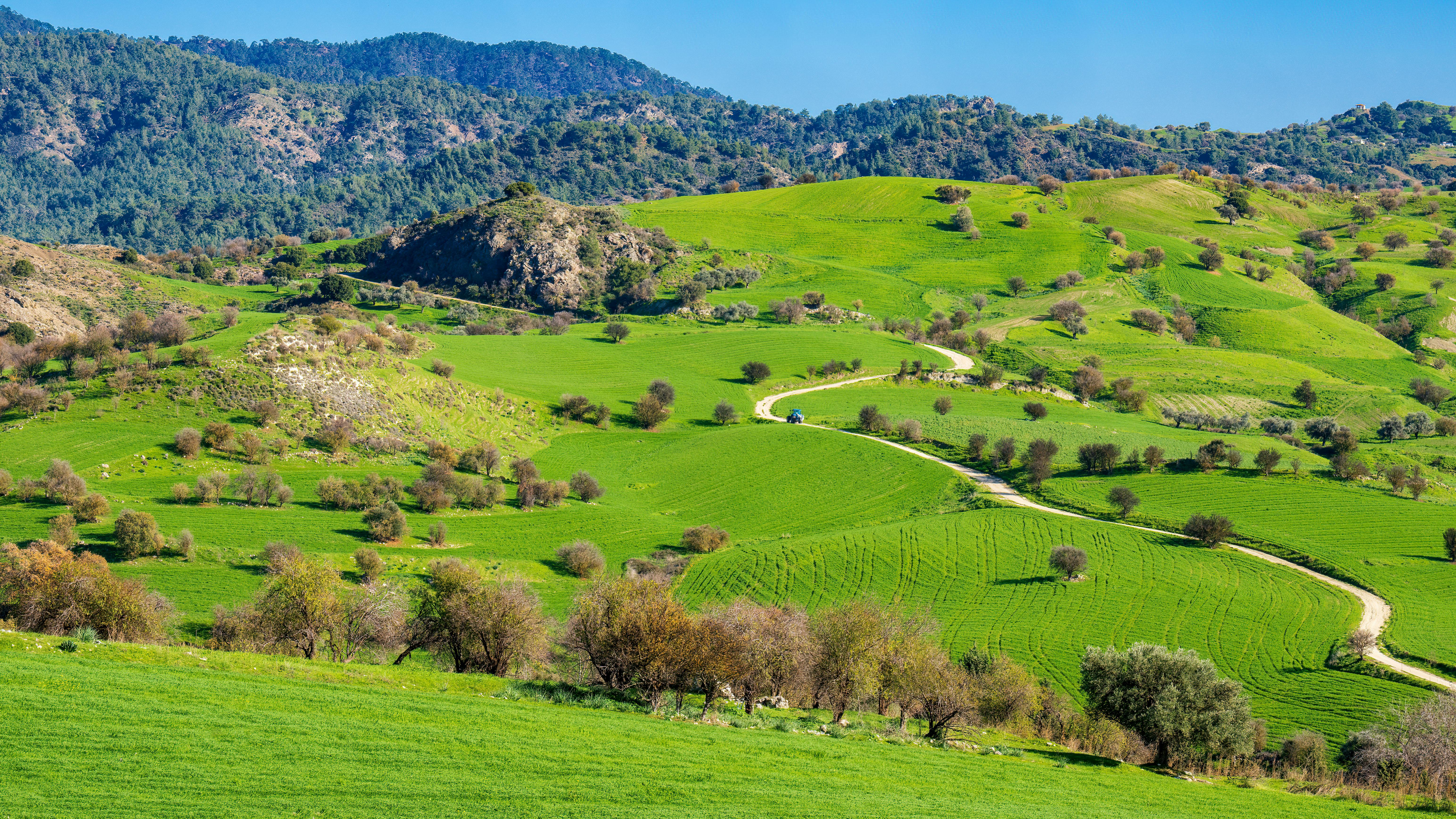 Windows 11 Nature Wallpaper Photos, Download The BEST Free Windows 11 ...