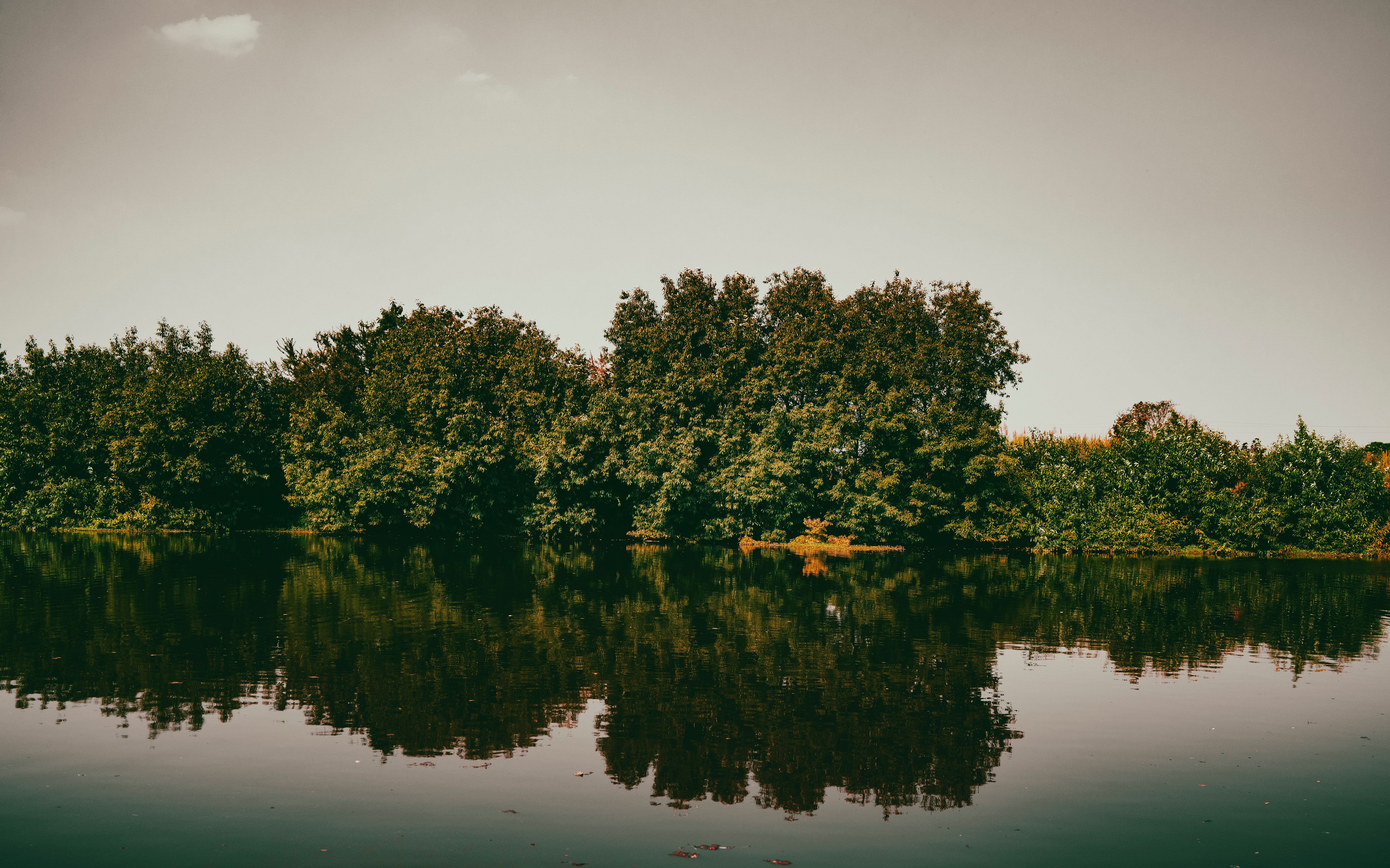 Green sceneries · Free Stock Photo