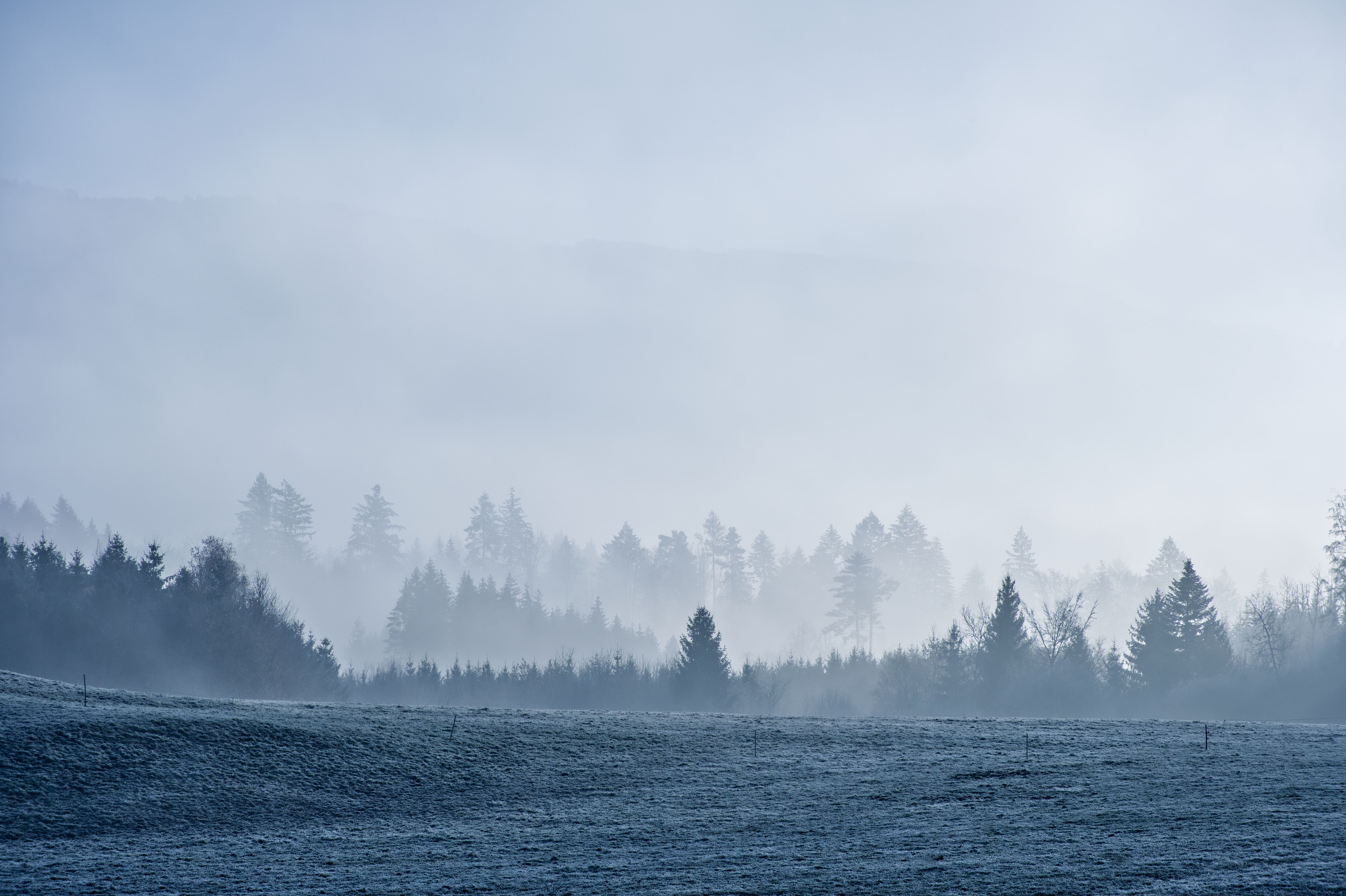 Fog and Clouds over Forest in Winter · Free Stock Photo