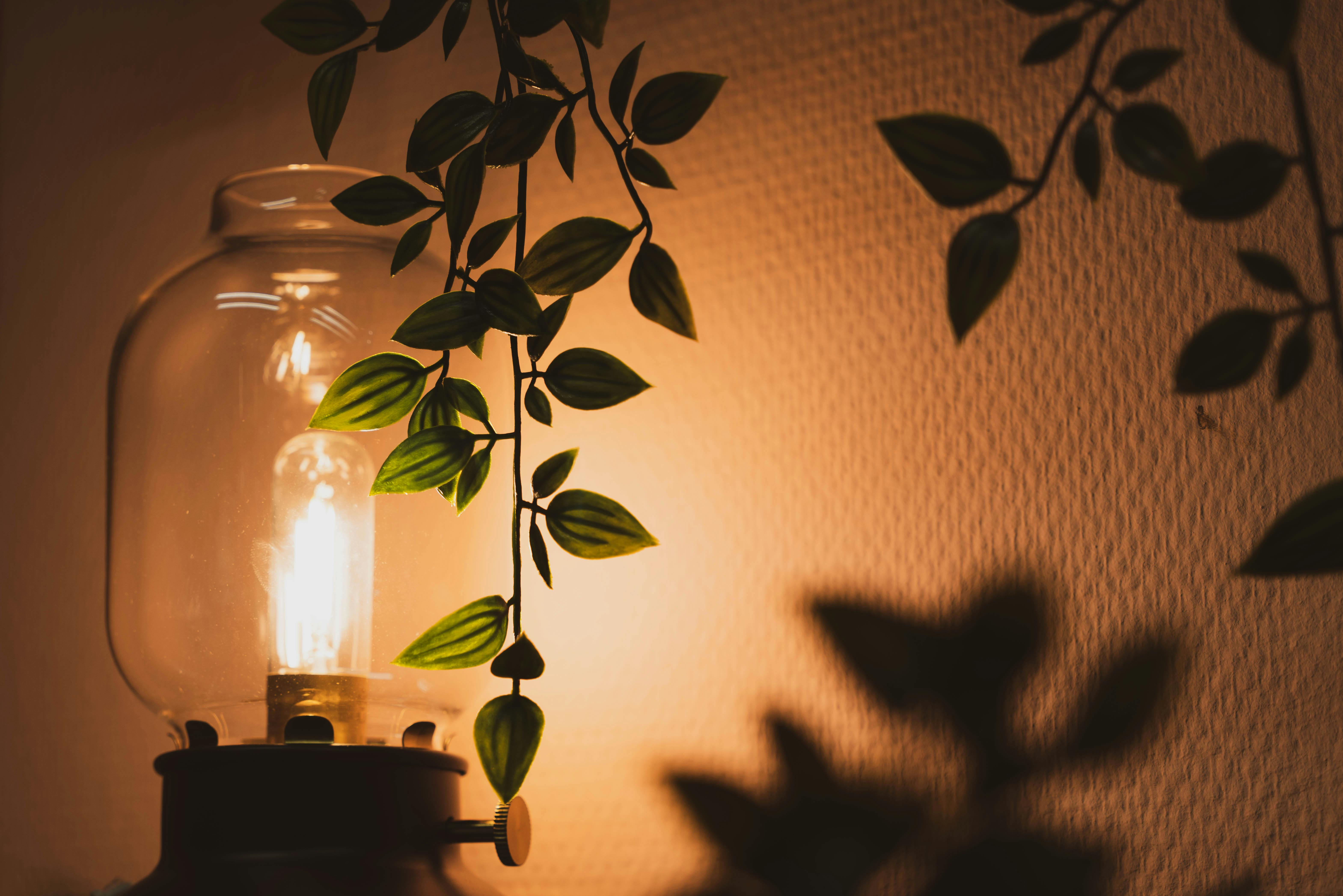 Close up of a Lamp · Free Stock Photo