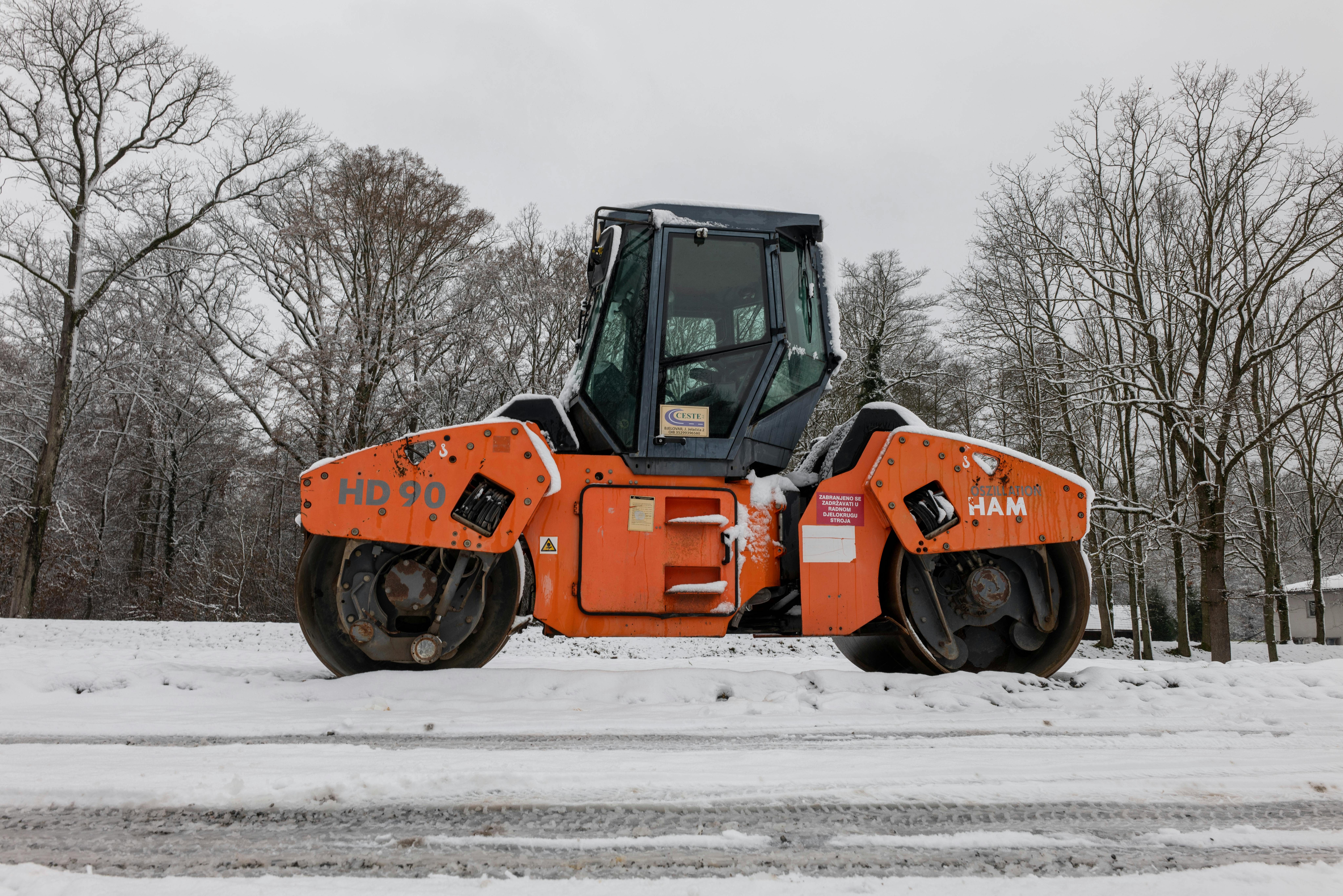 Foto de stock gratuita sobre al aire libre, alta definición 90, árbol ...