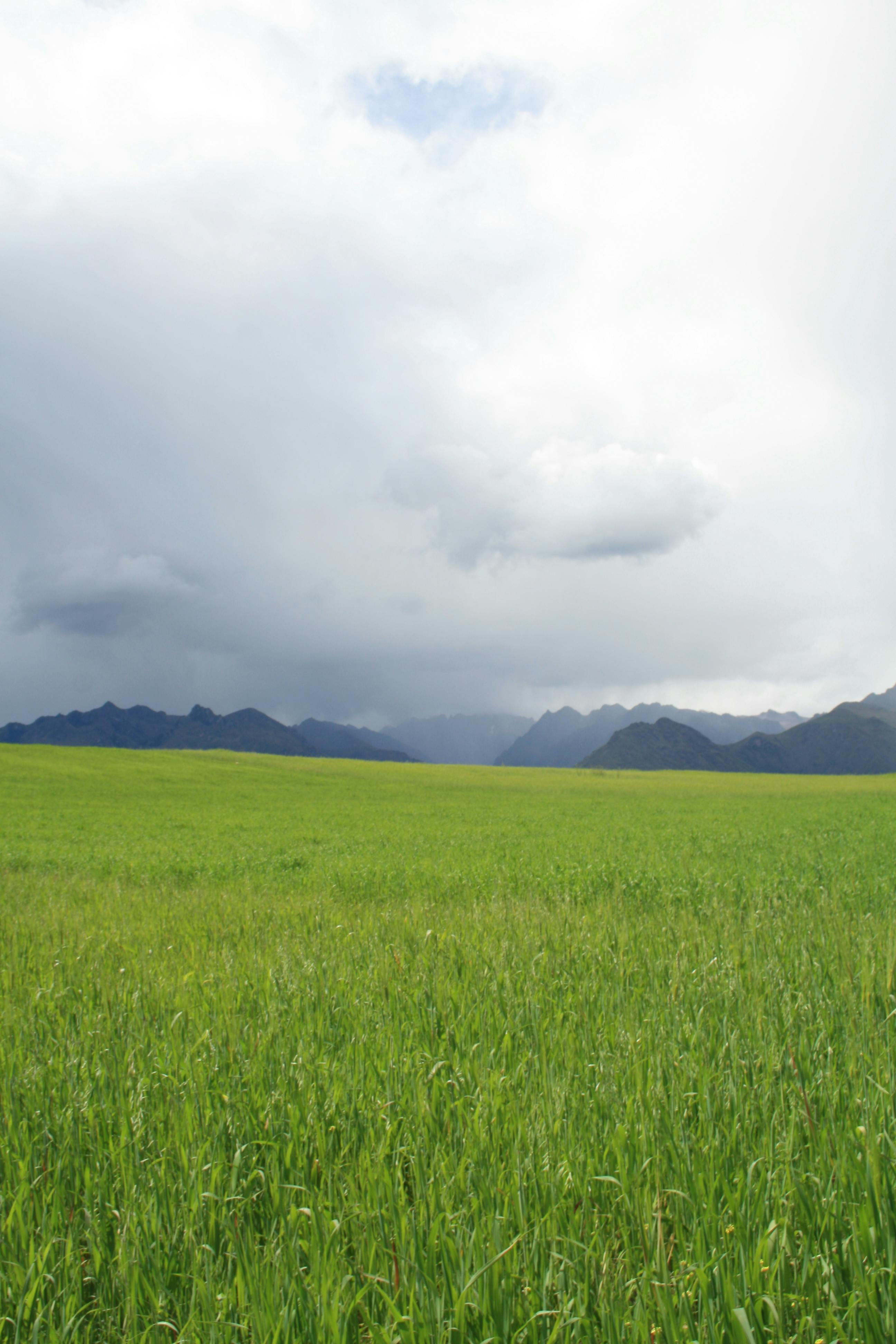 Vannery Minauro - 사진