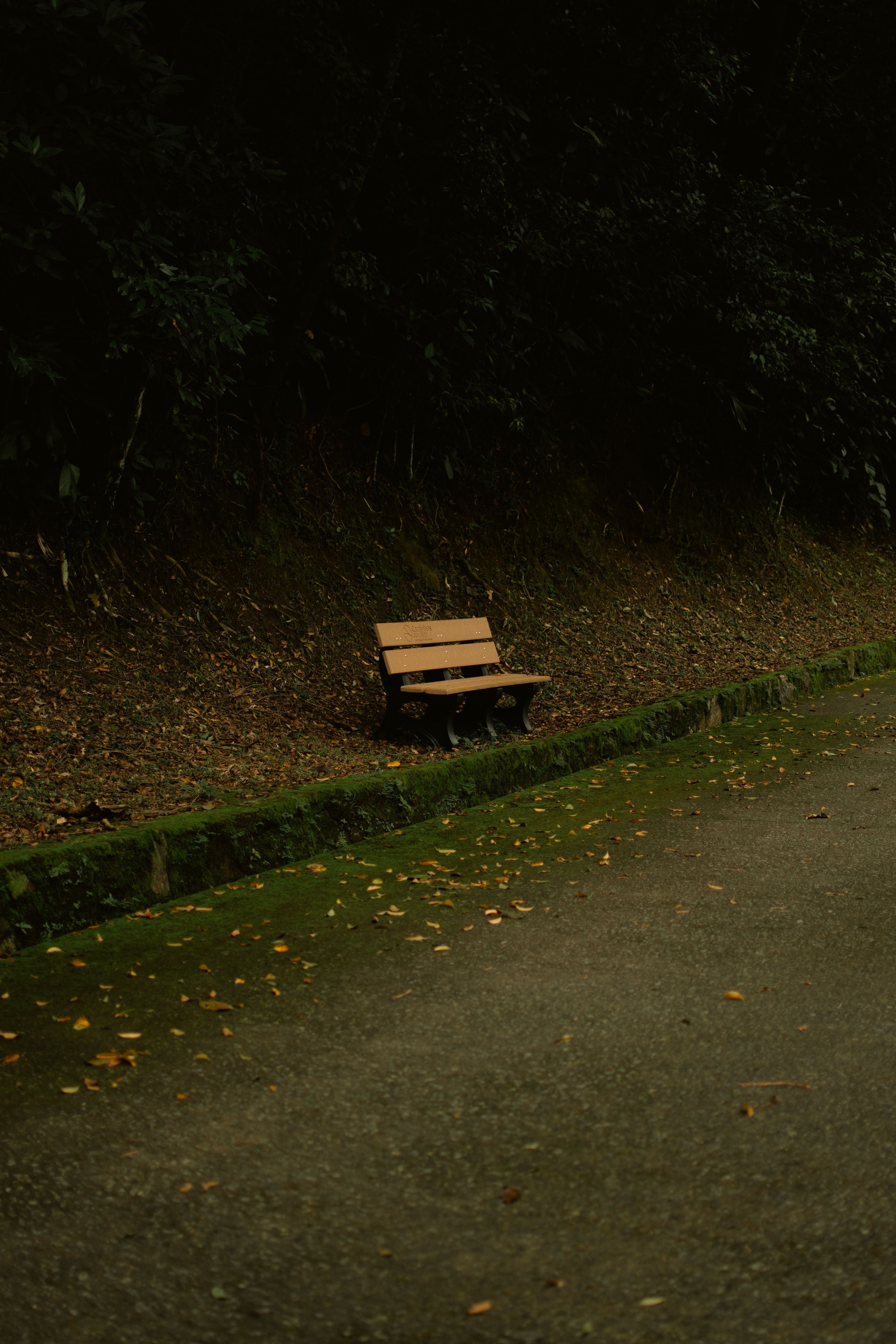 Dried Leaves on Empty Molded Outdoor Bench · Free Stock Photo