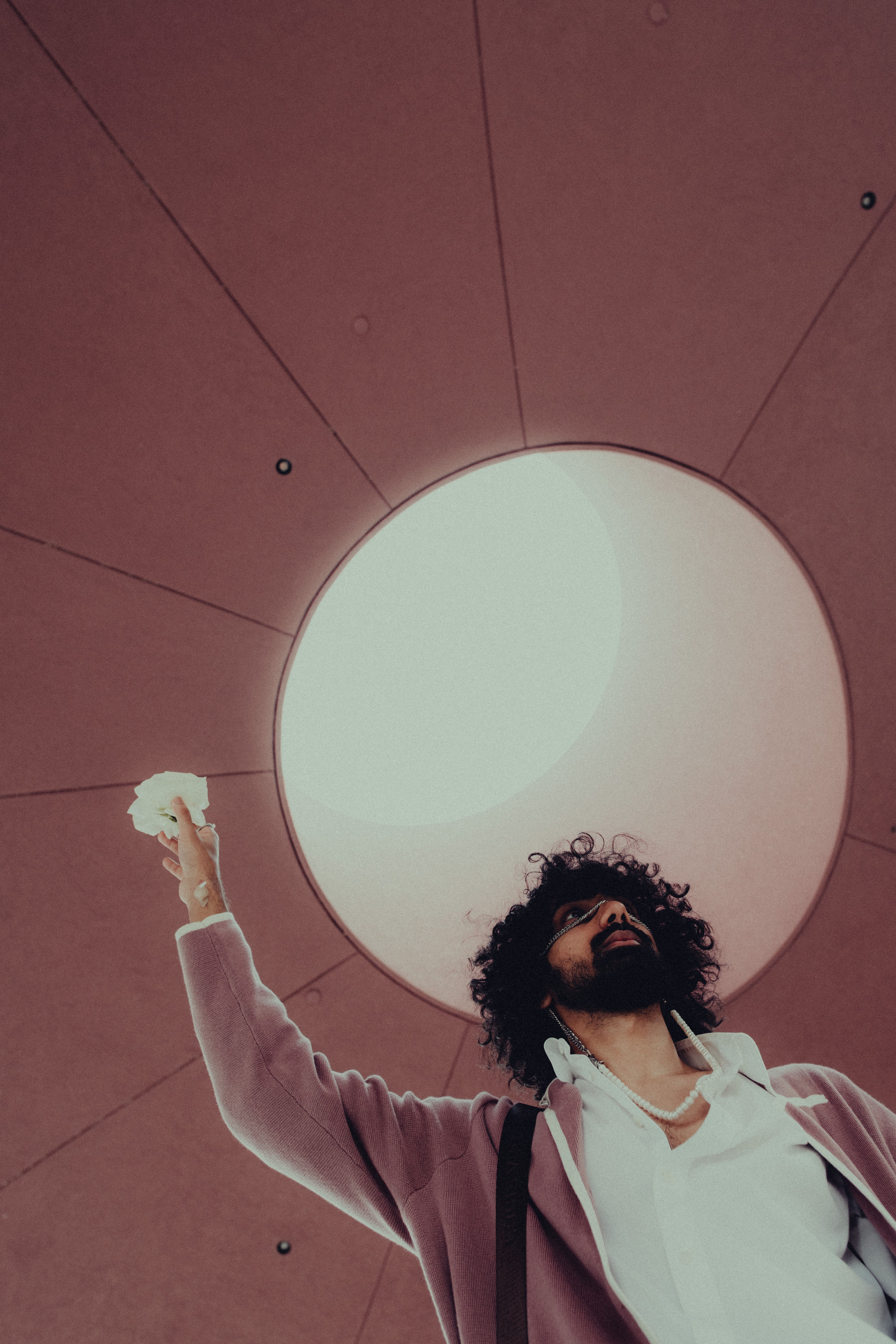 Man Holding Up a White Rose Standing Under a Skylight · Free Stock Photo