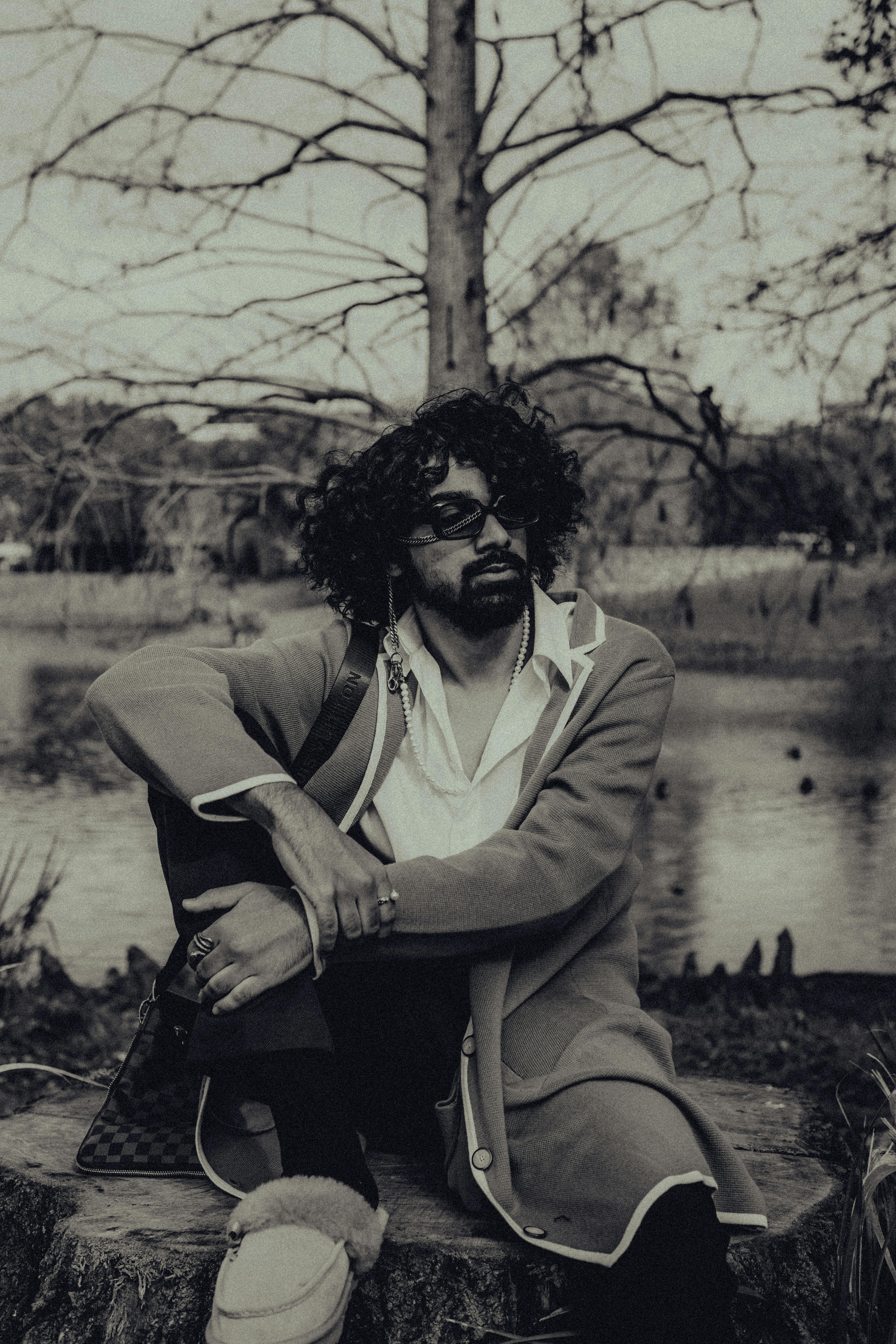 Stump Photos, Download The BEST Free Stump Stock Photos & HD Images